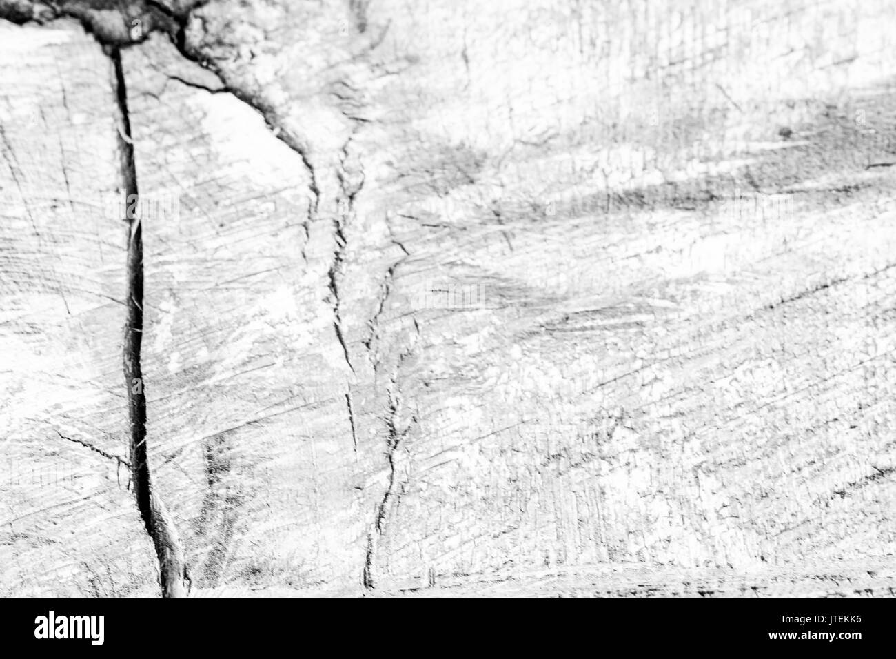 White rustic wood texture with natural patterns surface as background ...