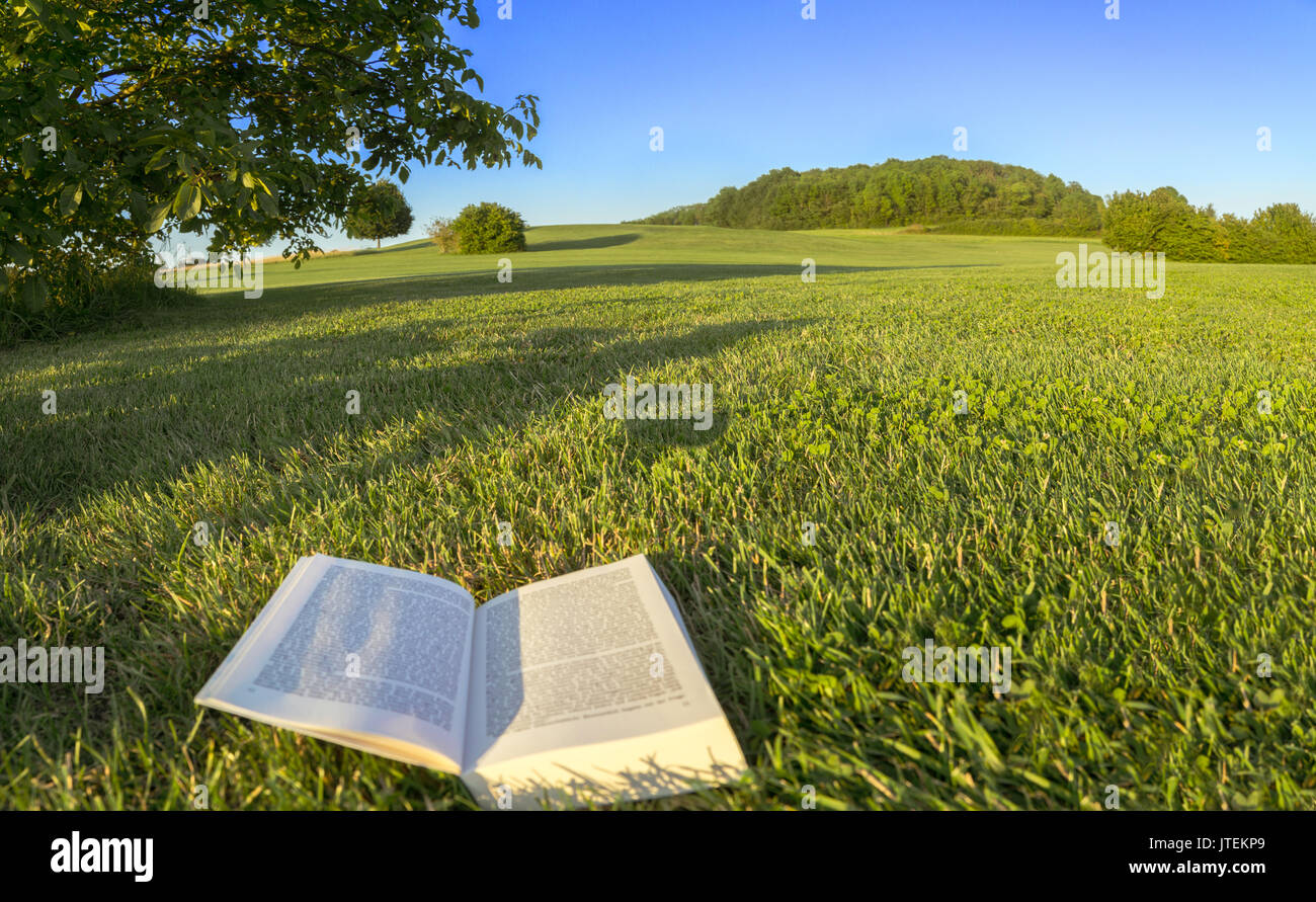 Reading a book in a Park in the nature, point-of-view-shot. In Bavaria ...
