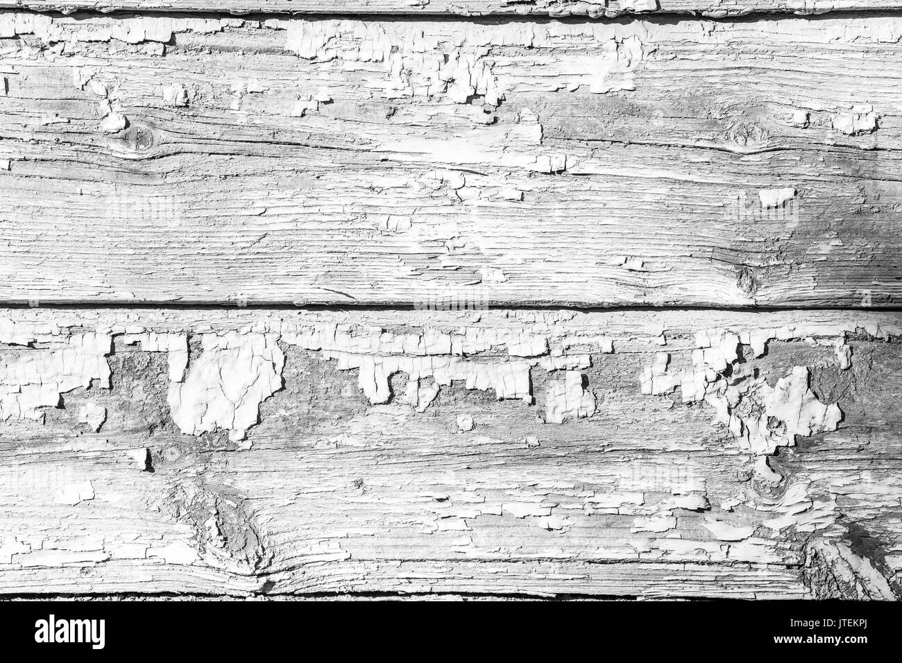 White rustic wood texture with natural patterns surface as background ...