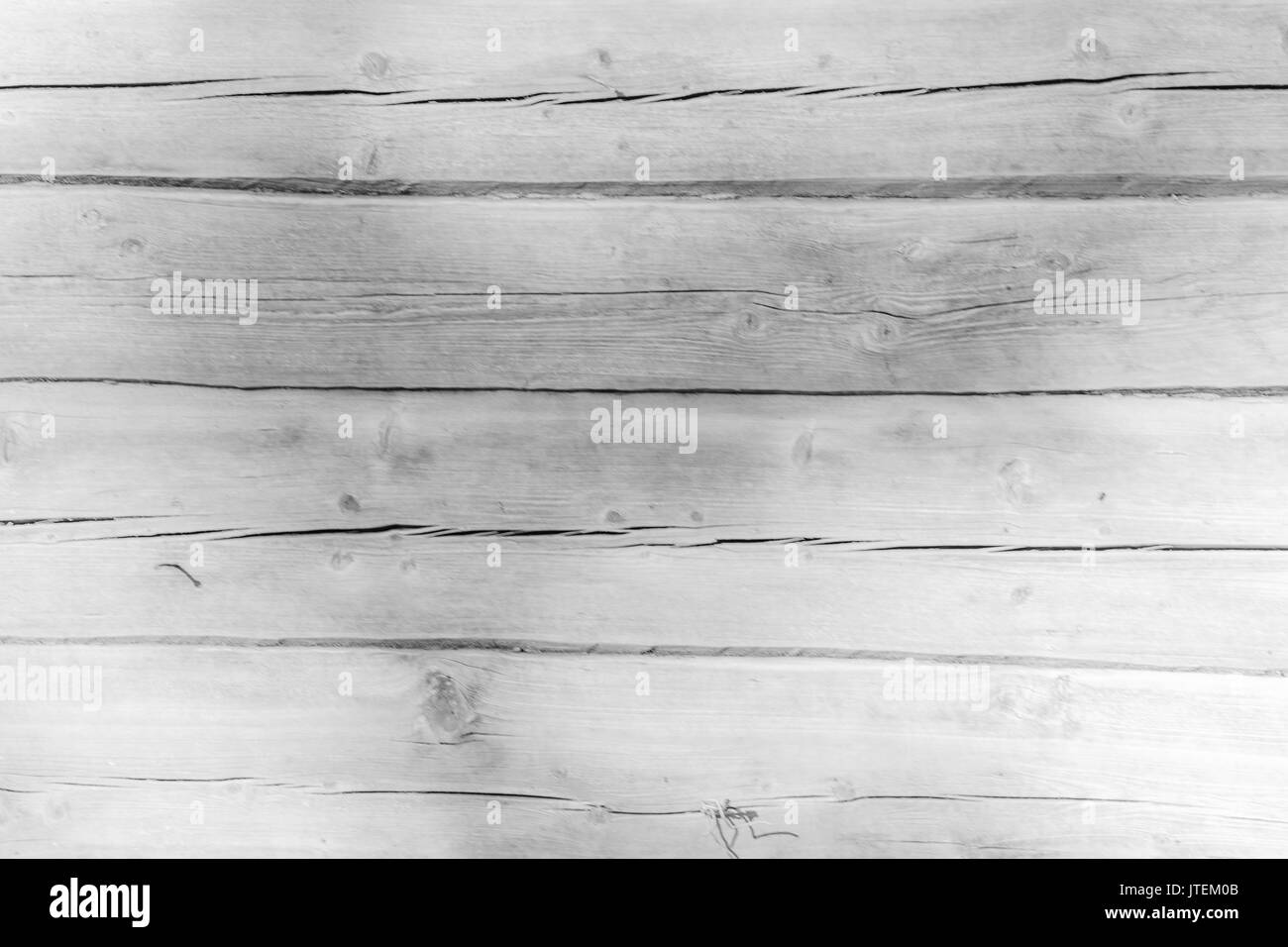 White rustic wood texture with natural patterns surface as background ...