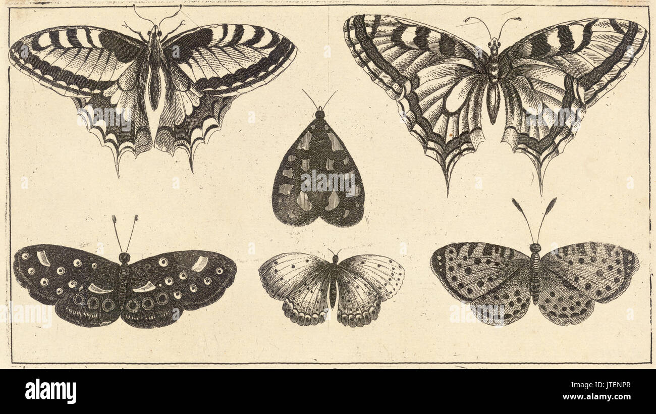 Five butterflies hi-res stock photography and images - Alamy