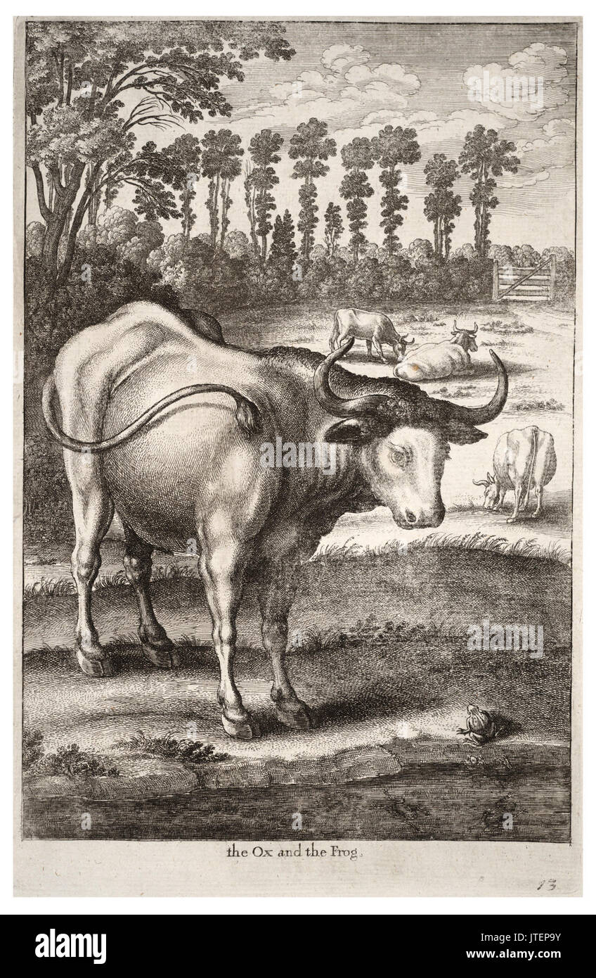 The ox and the frog hi-res stock photography and images - Alamy