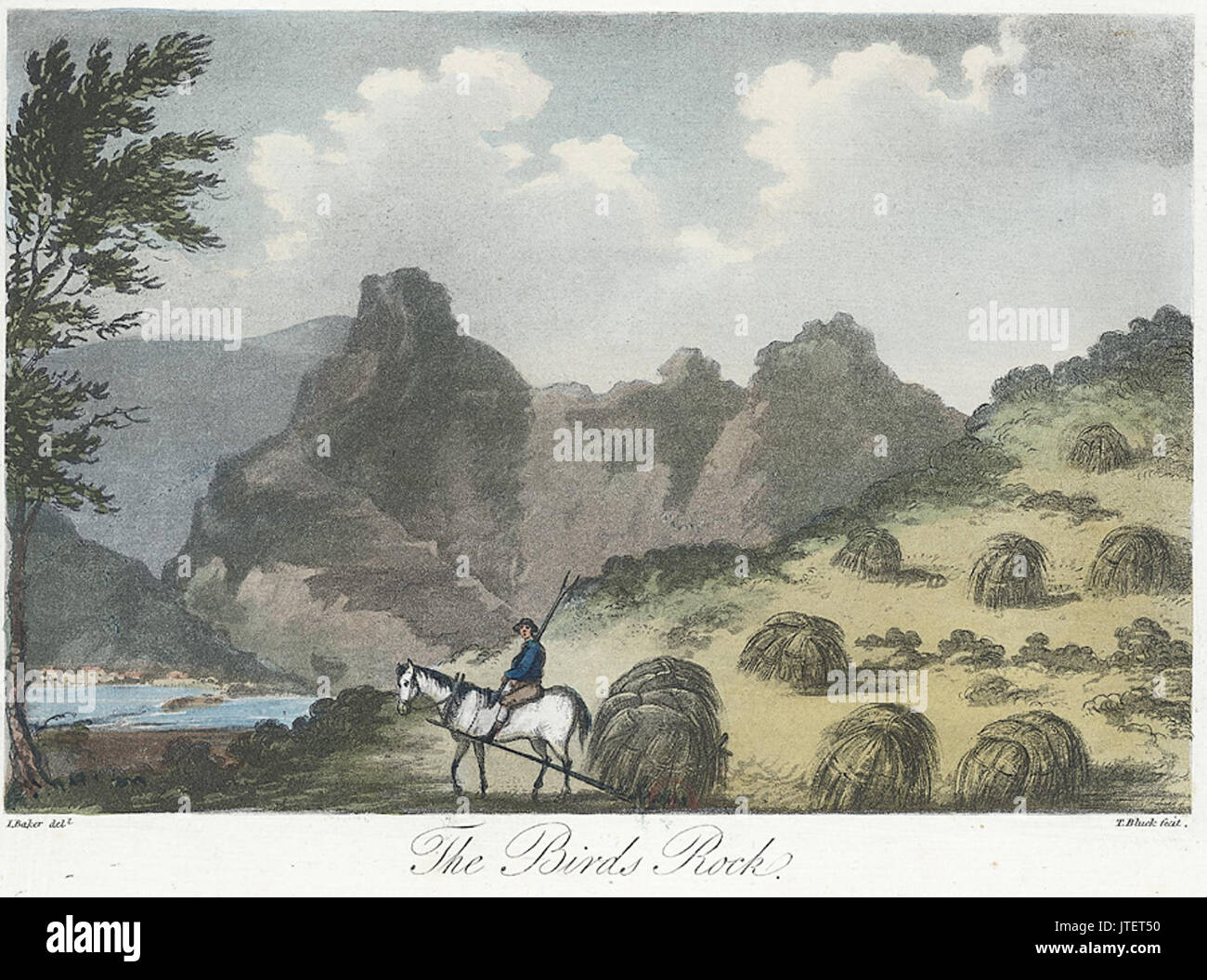 The Birds Rock Stock Photo - Alamy