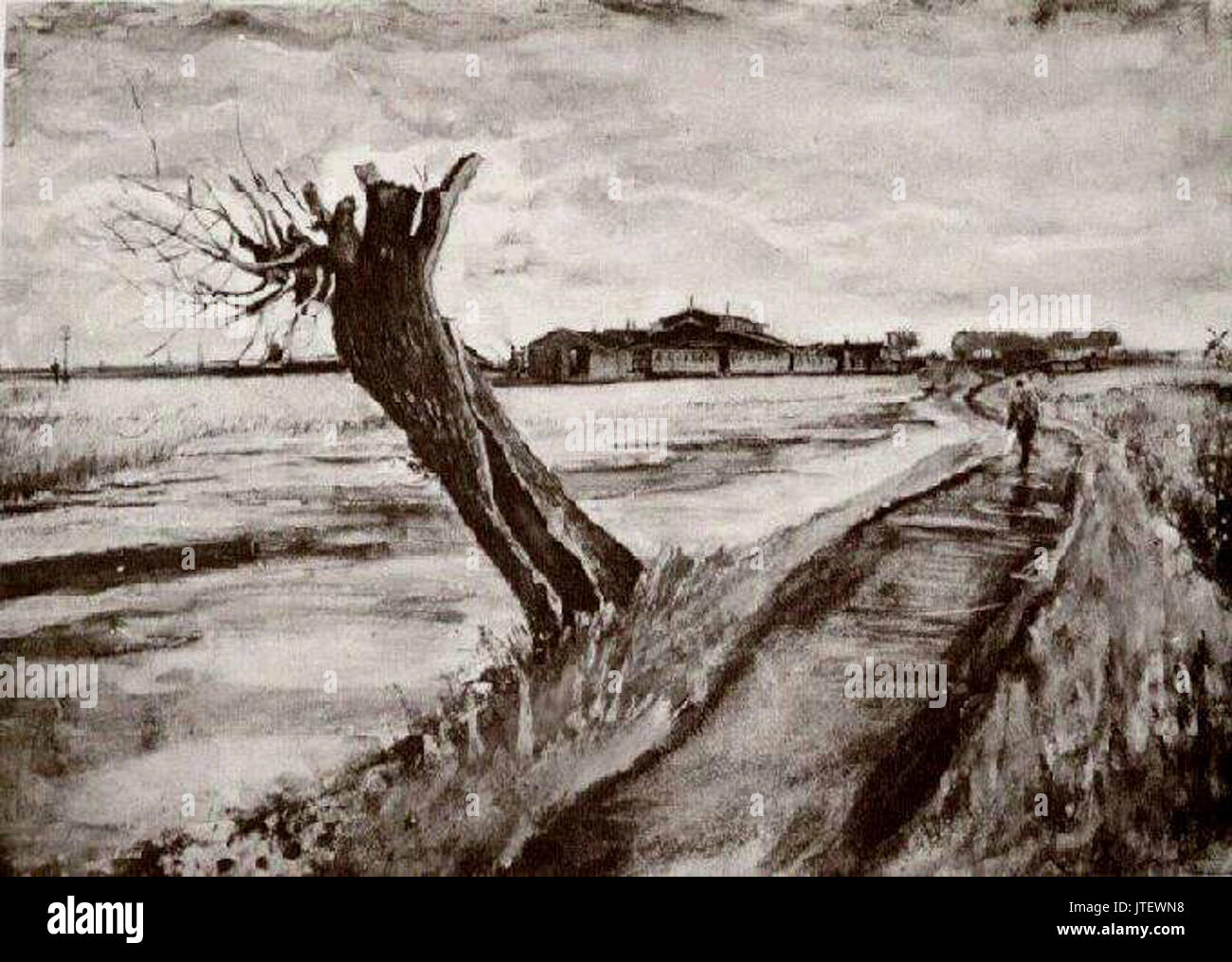 Old willow pollard hi-res stock photography and images - Alamy