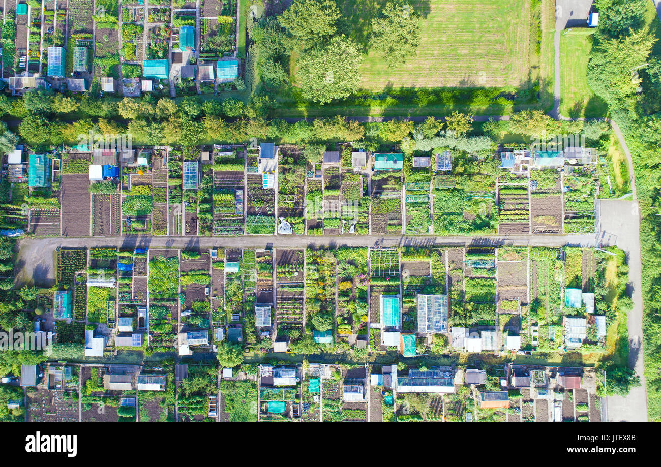 Aerial View Of Vegetable Garden