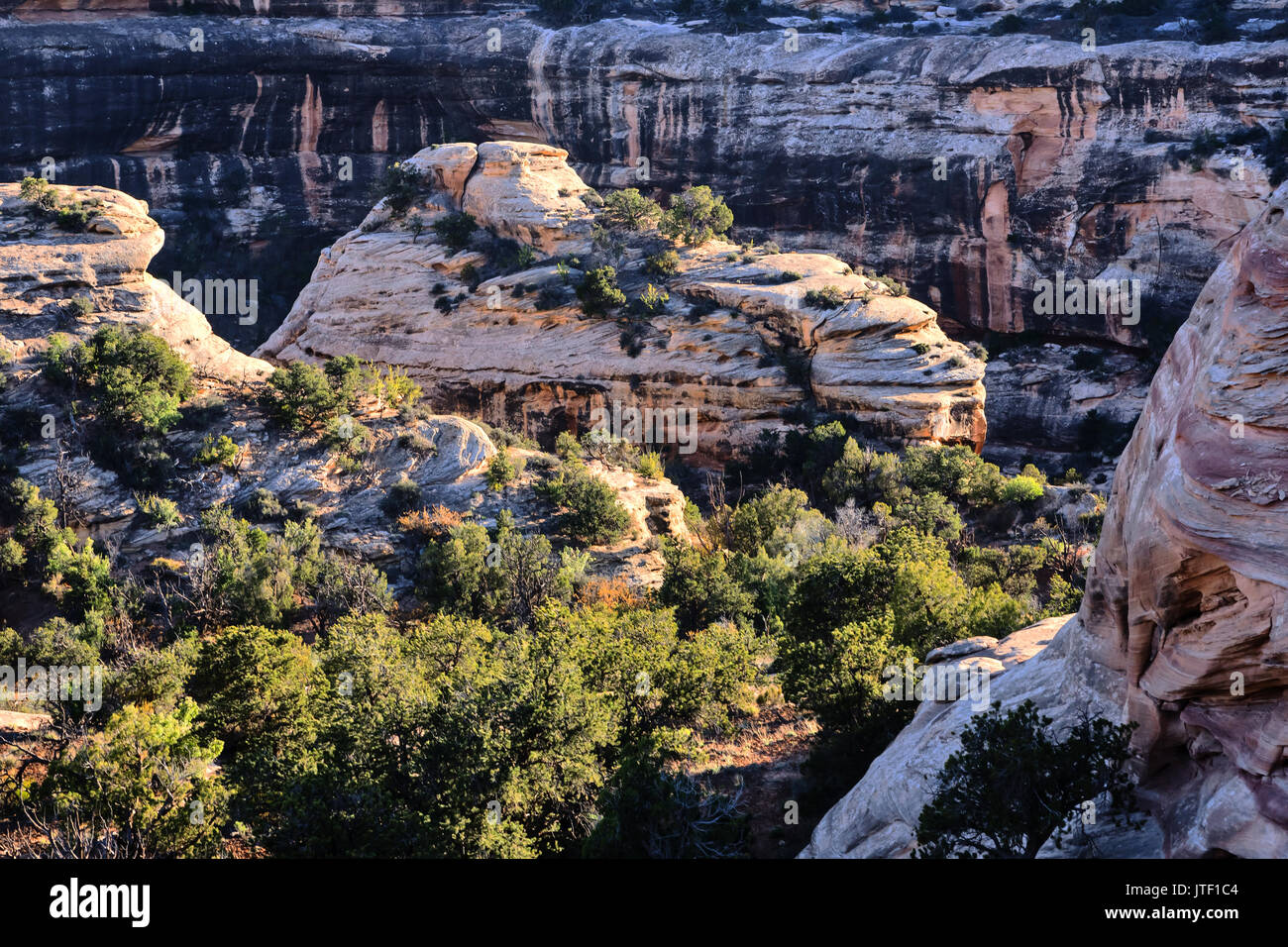 Natural Bridges National Monument, southeast Utah, USA Stock Photo - Alamy