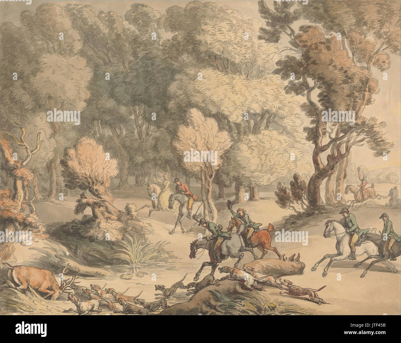 Thomas Rowlandson Stag at Bay Scene near Taplow, Berks Stock Photo - Alamy