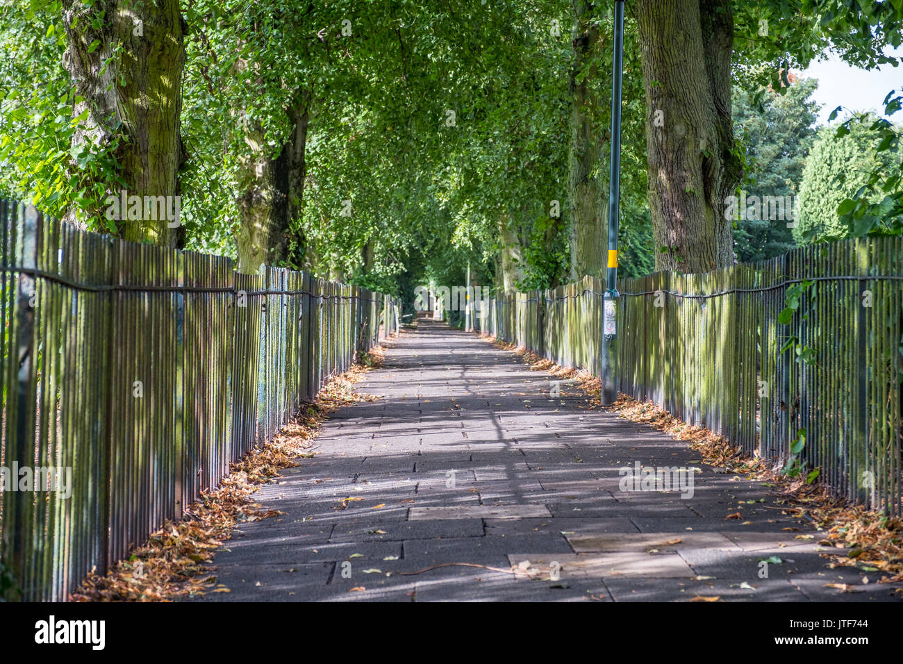 Cycling and Walking Path Stock Photo - Alamy