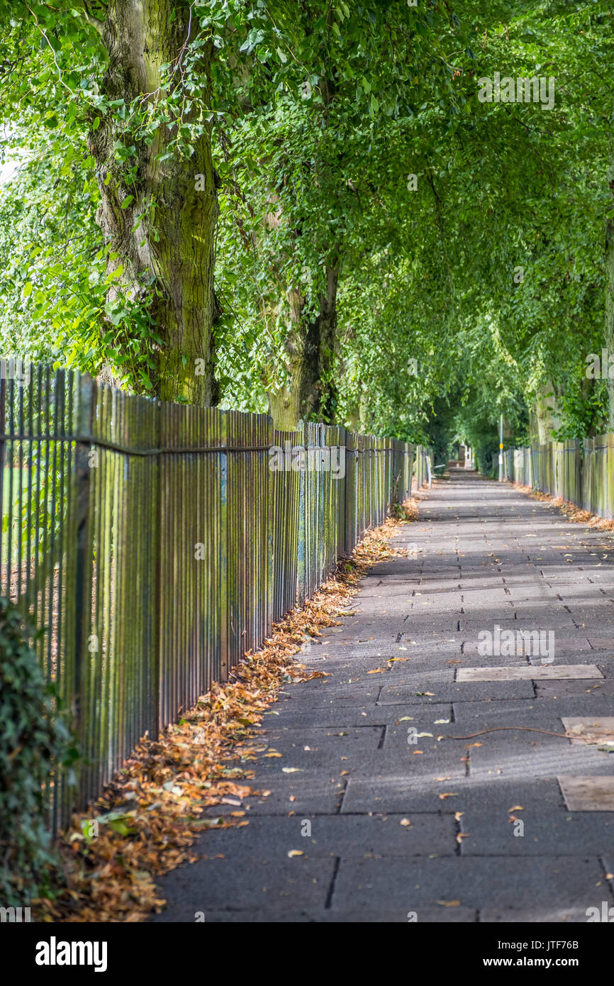 Cycling and Walking Path Stock Photo - Alamy