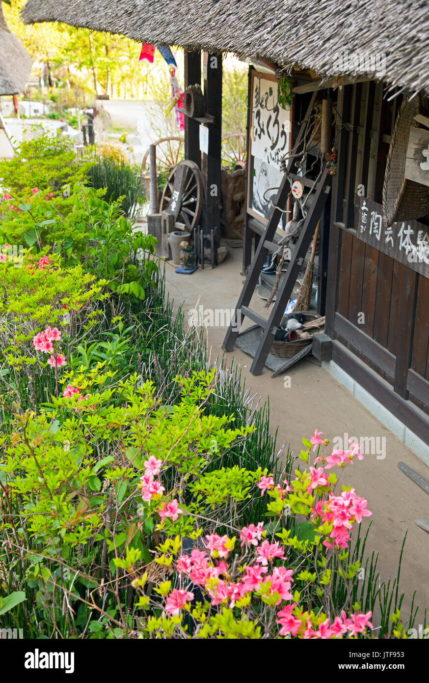 The traditional Japanese village of Saiko Iyashi no Sato Nemba Stock ...