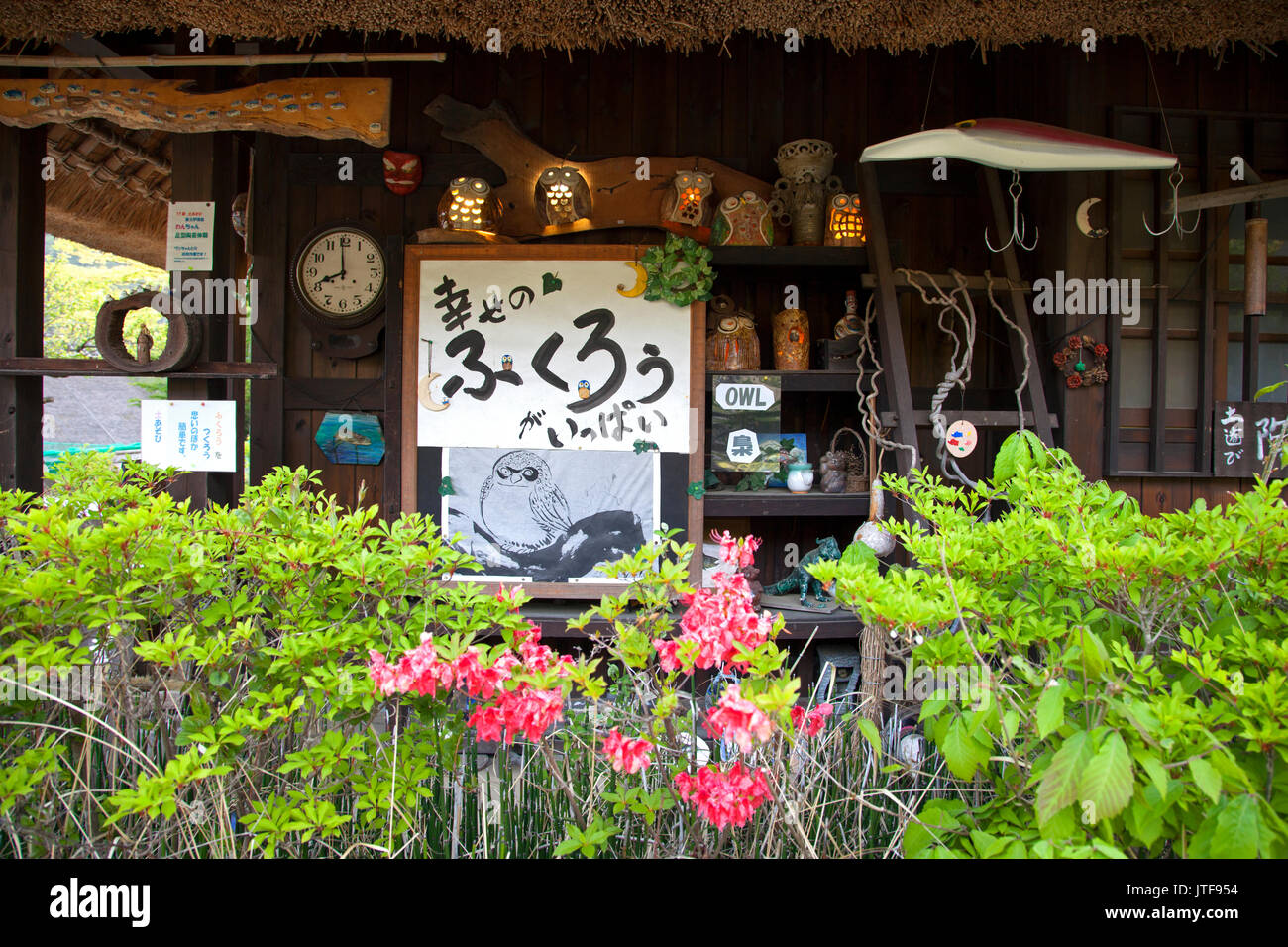 The traditional Japanese village of Saiko Iyashi no Sato Nemba Stock ...