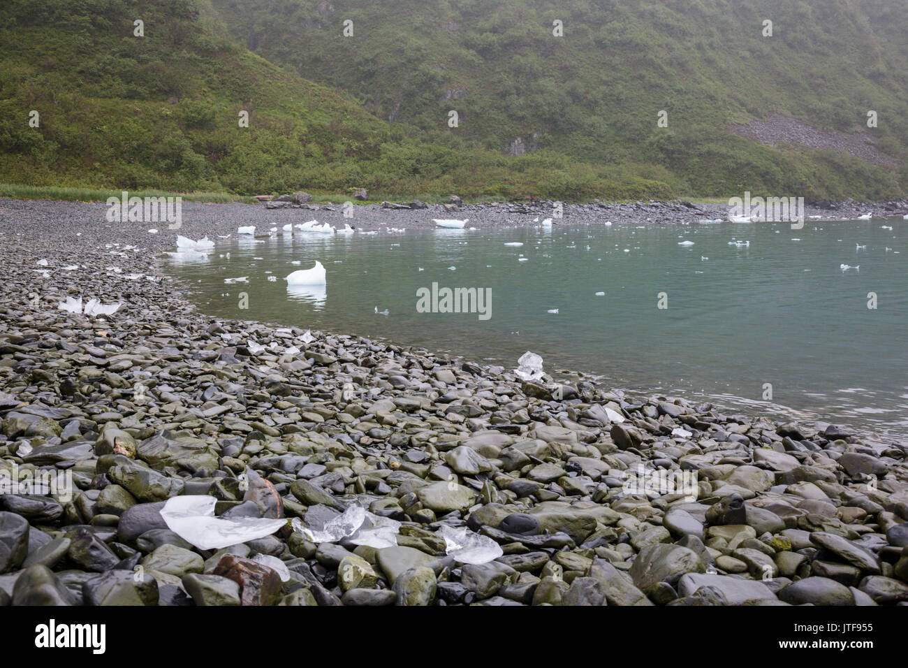 Beach in the Aialik Bay, Kenai Peninsula, Alaska, USA Stock Photo - Alamy