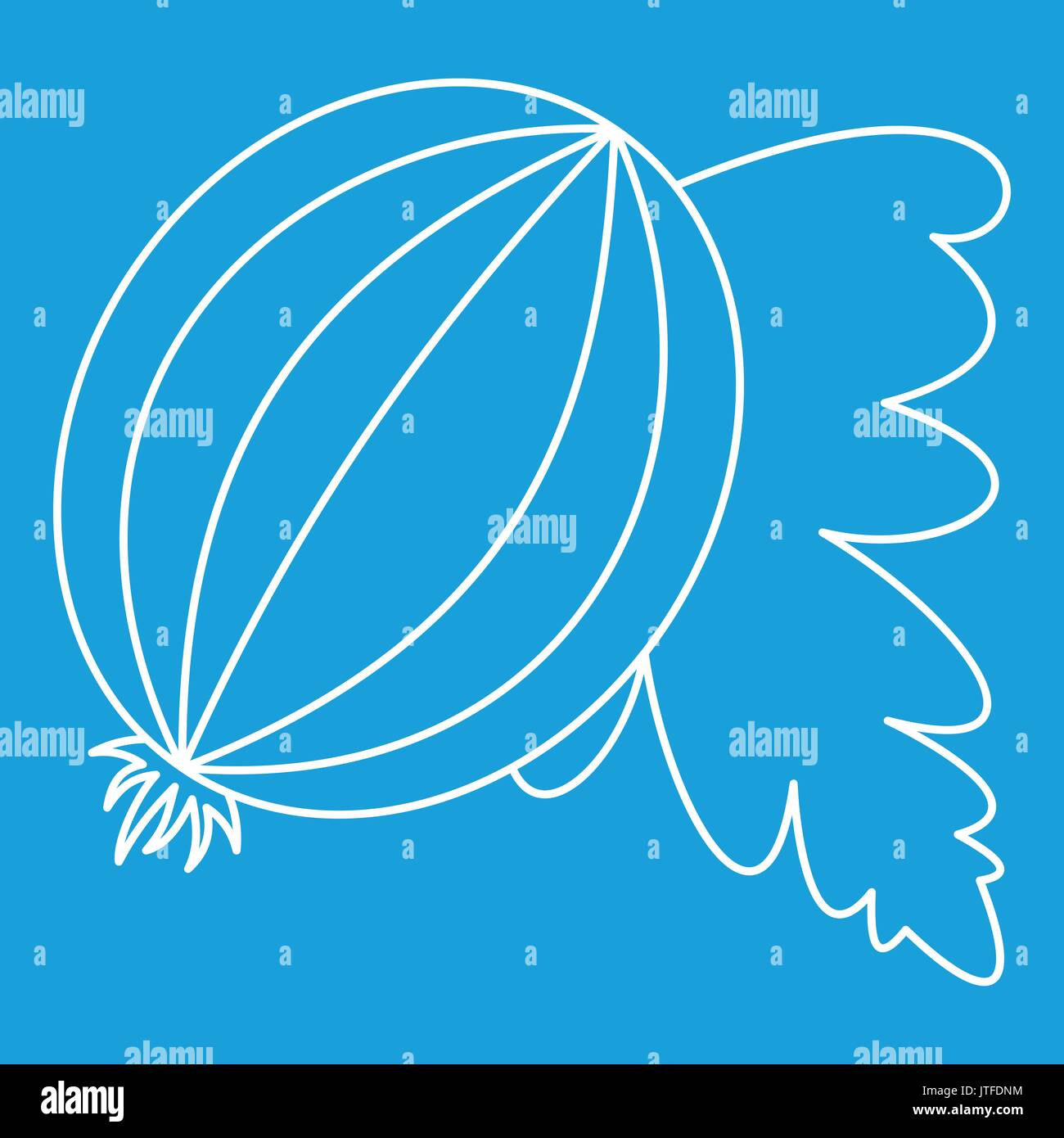 Gooseberry fruit icon, outline style Stock Vector Image & Art - Alamy