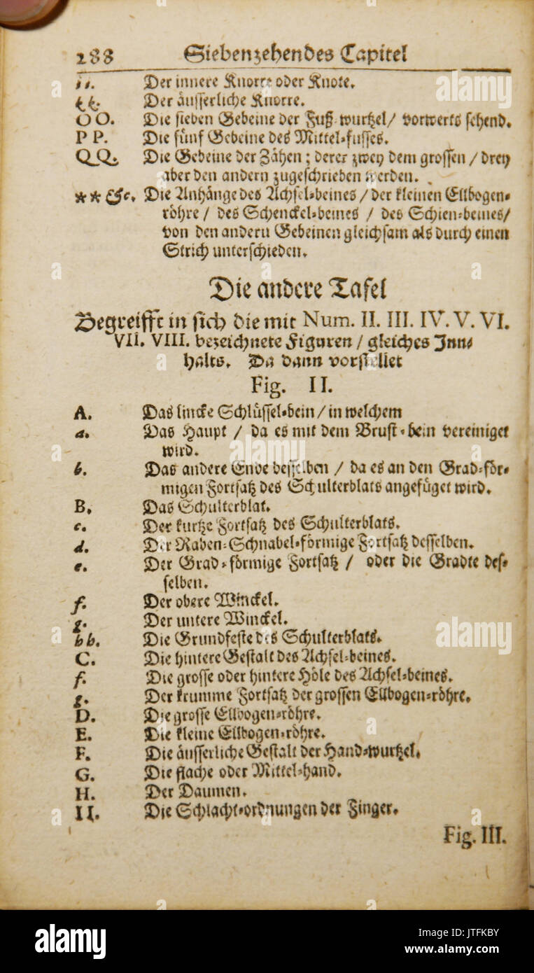 Wesling Kuenstliche Zerlegung 366 Stock Photo - Alamy