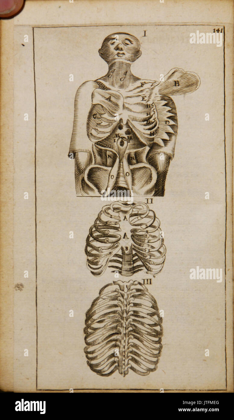 Wesling Kuenstliche Zerlegung 176 Stock Photo - Alamy