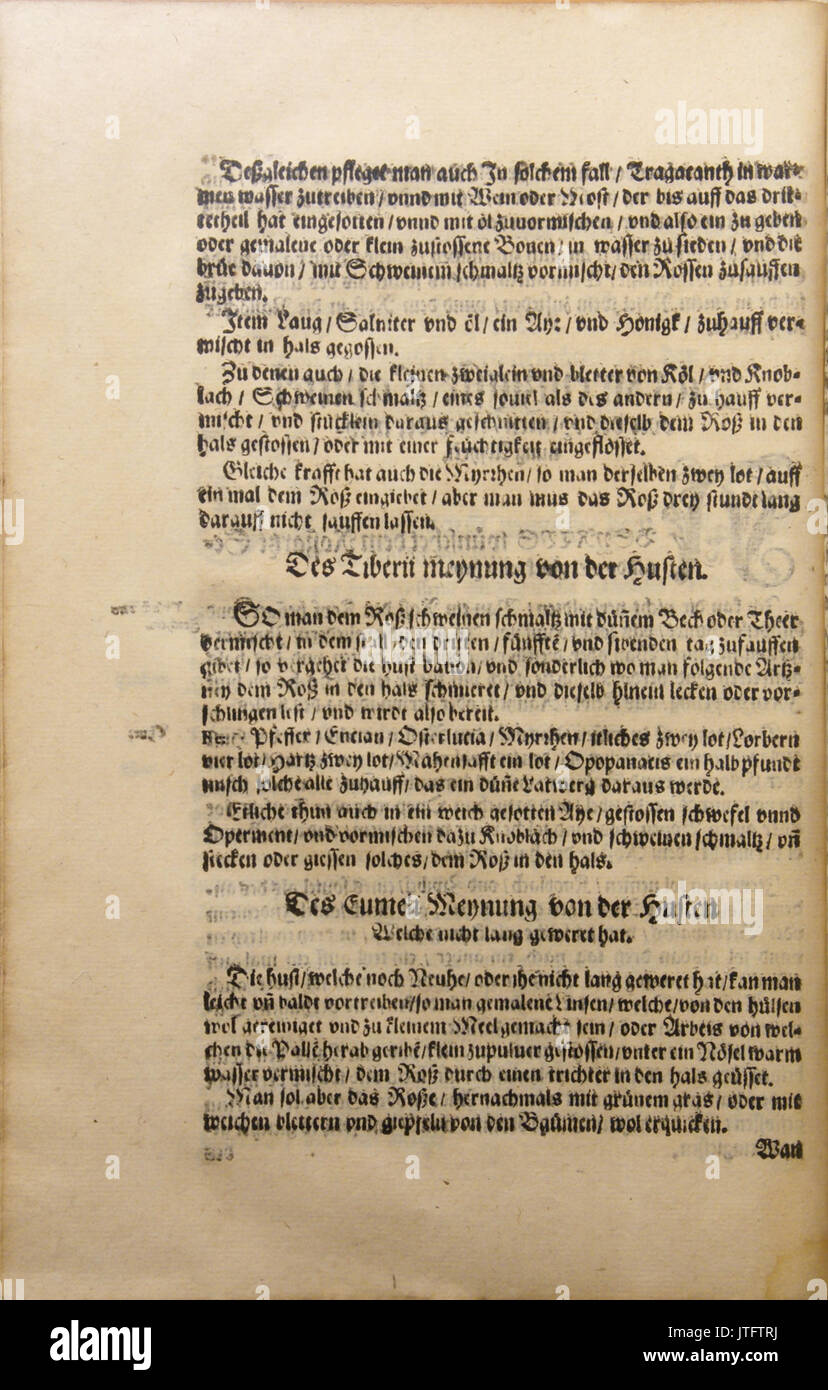 A historical medical text titled 'Ruel Von Mancherley Gebrechen I 100 ...
