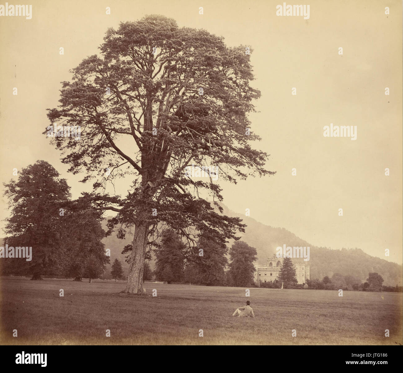 British heath painting hi-res stock photography and images - Alamy