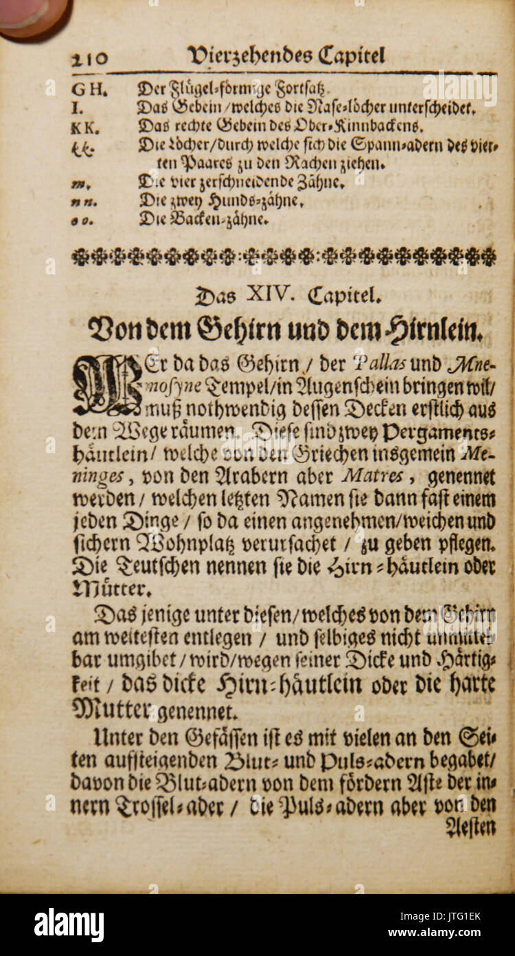 Wesling Kuenstliche Zerlegung 268 Stock Photo - Alamy