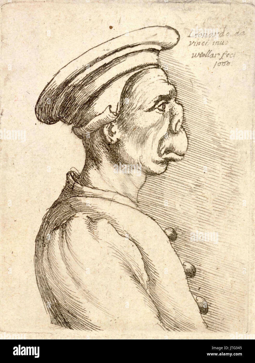 Flat nose hi-res stock photography and images - Alamy