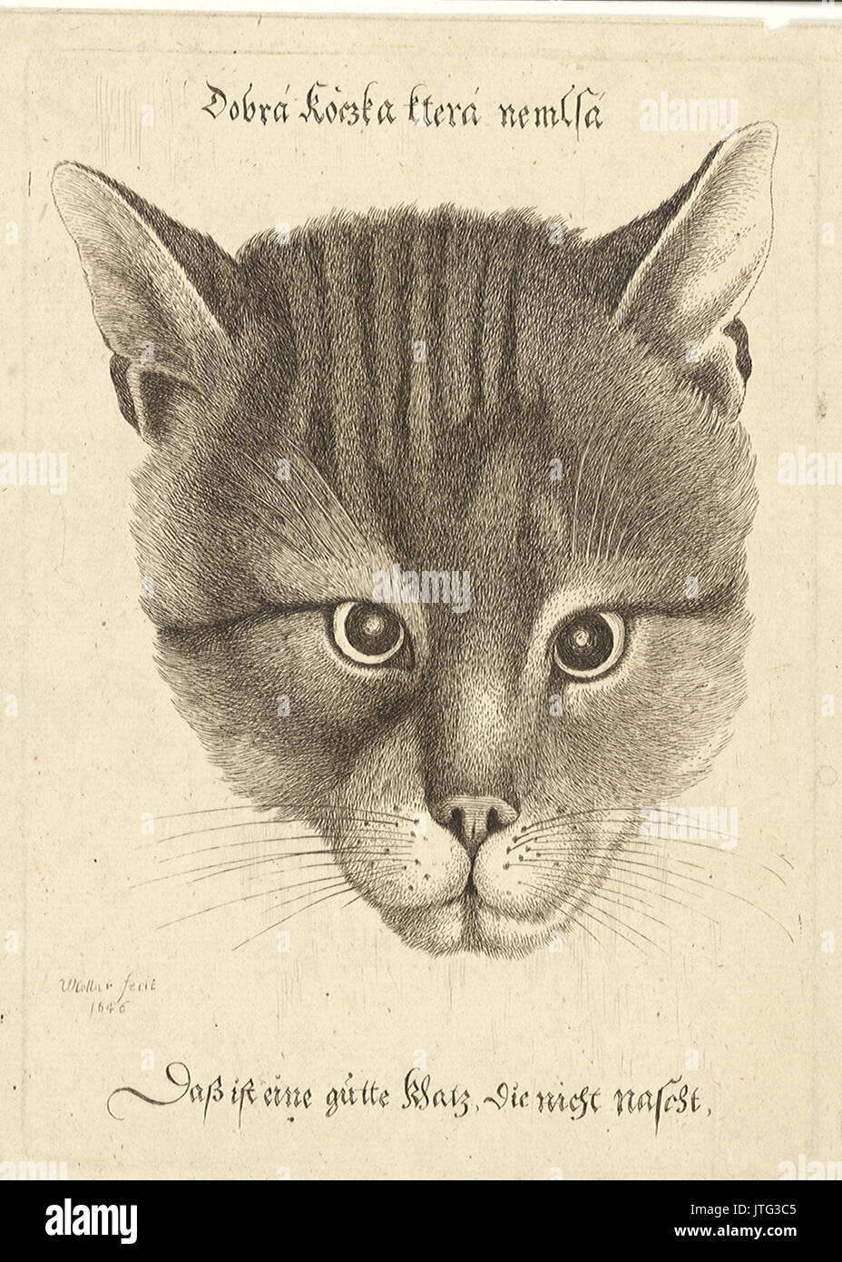 Vintage cat head painting hi-res stock photography and images - Alamy