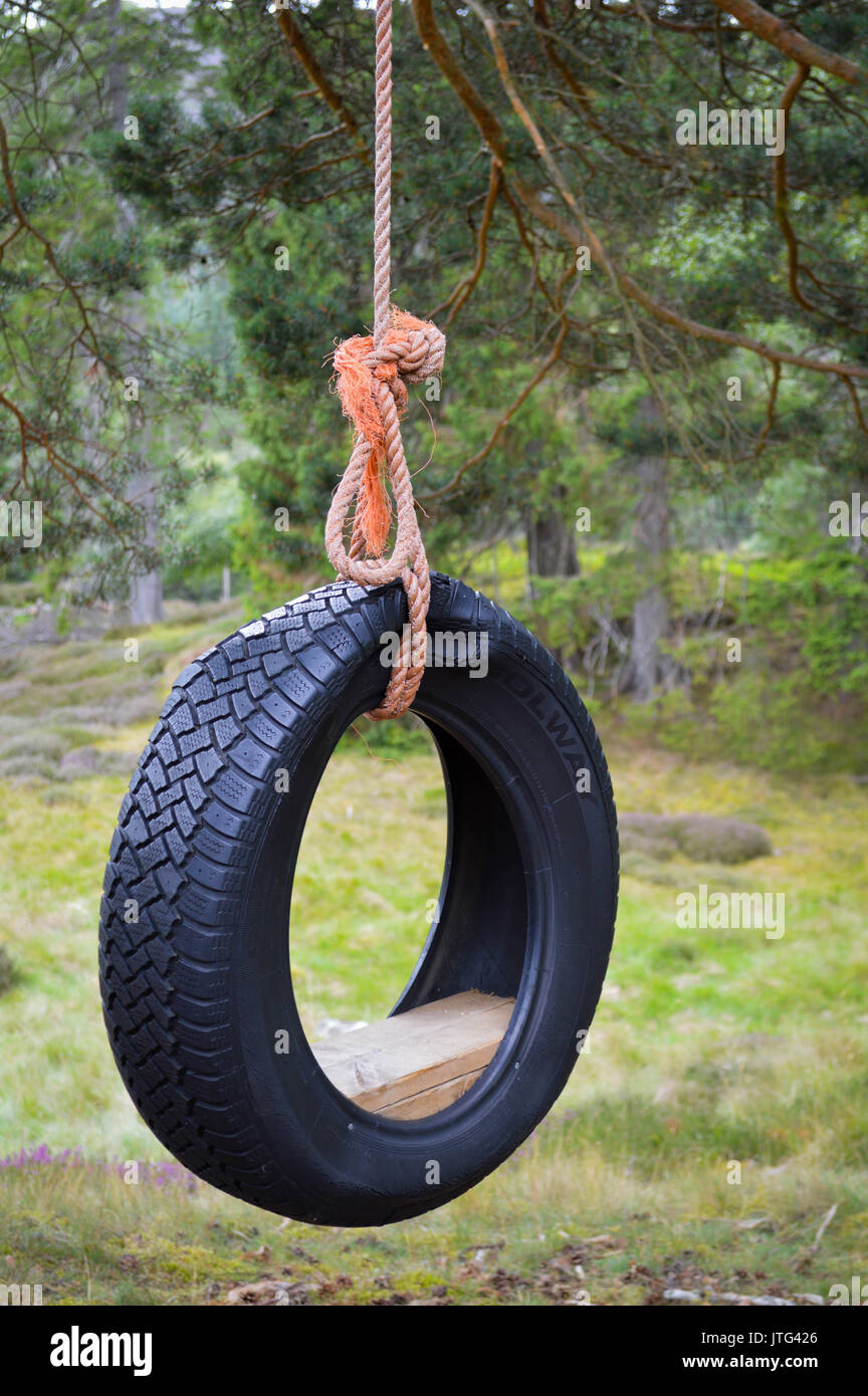 tyre rope swing Stock Photo - Alamy