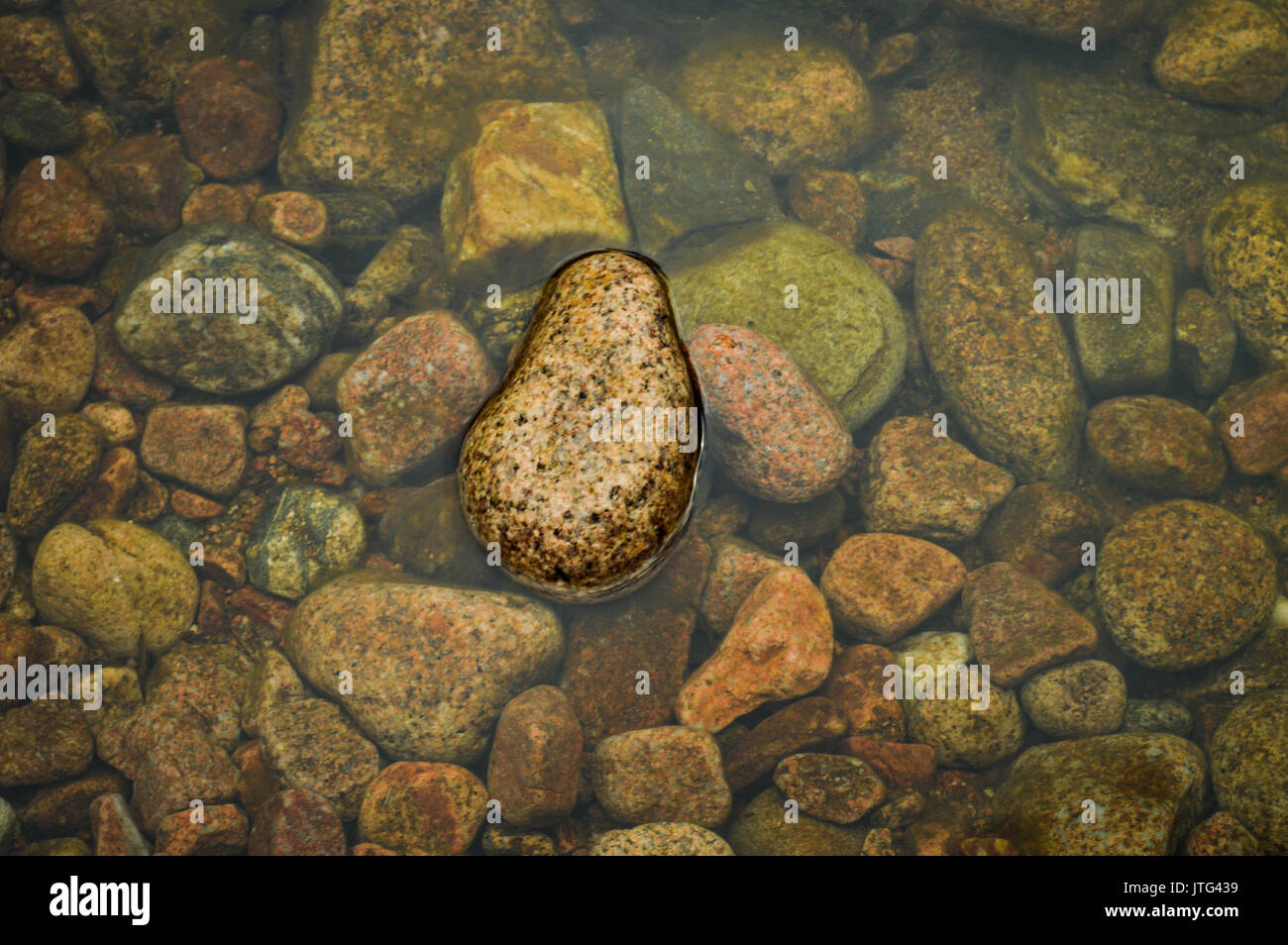 Pebbles in stream hi-res stock photography and images - Alamy