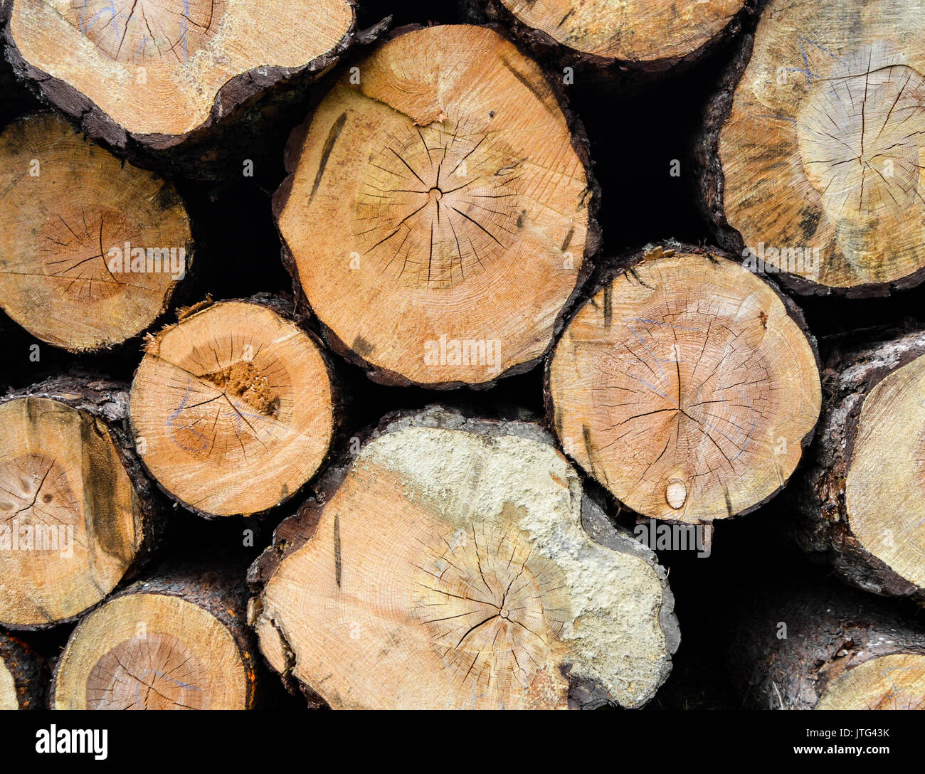 Drying timber hi-res stock photography and images - Alamy
