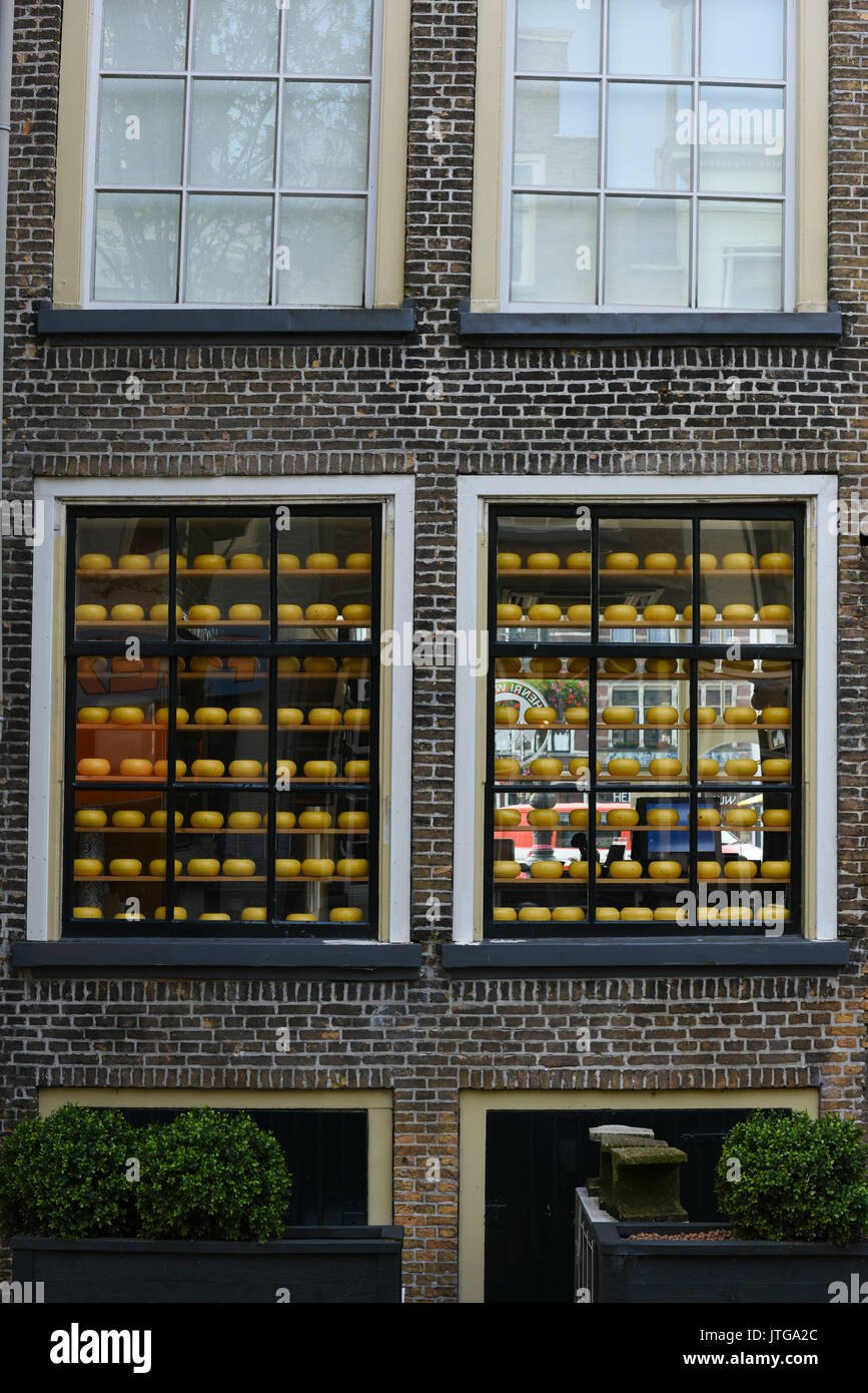 Cheeses for sale on display in a shop window in Delft, South Holland ...