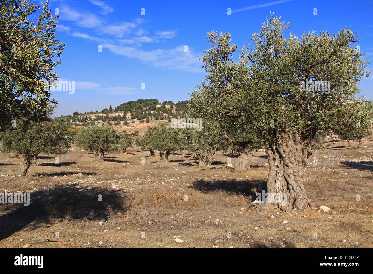 Bethlehem landscape hi-res stock photography and images - Alamy