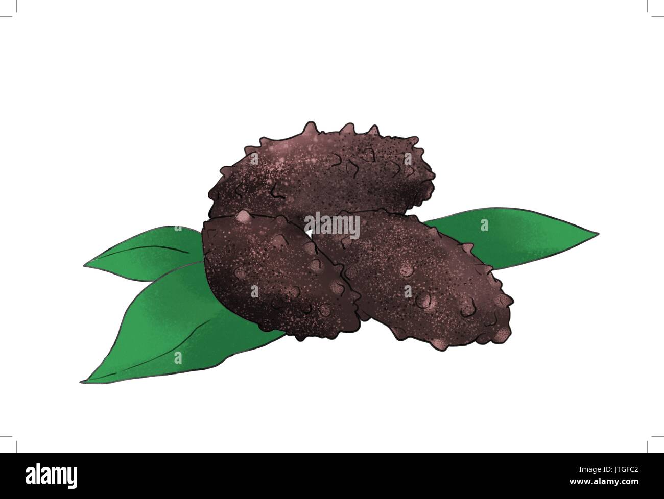 Maroon grass Stock Vector Images - Alamy