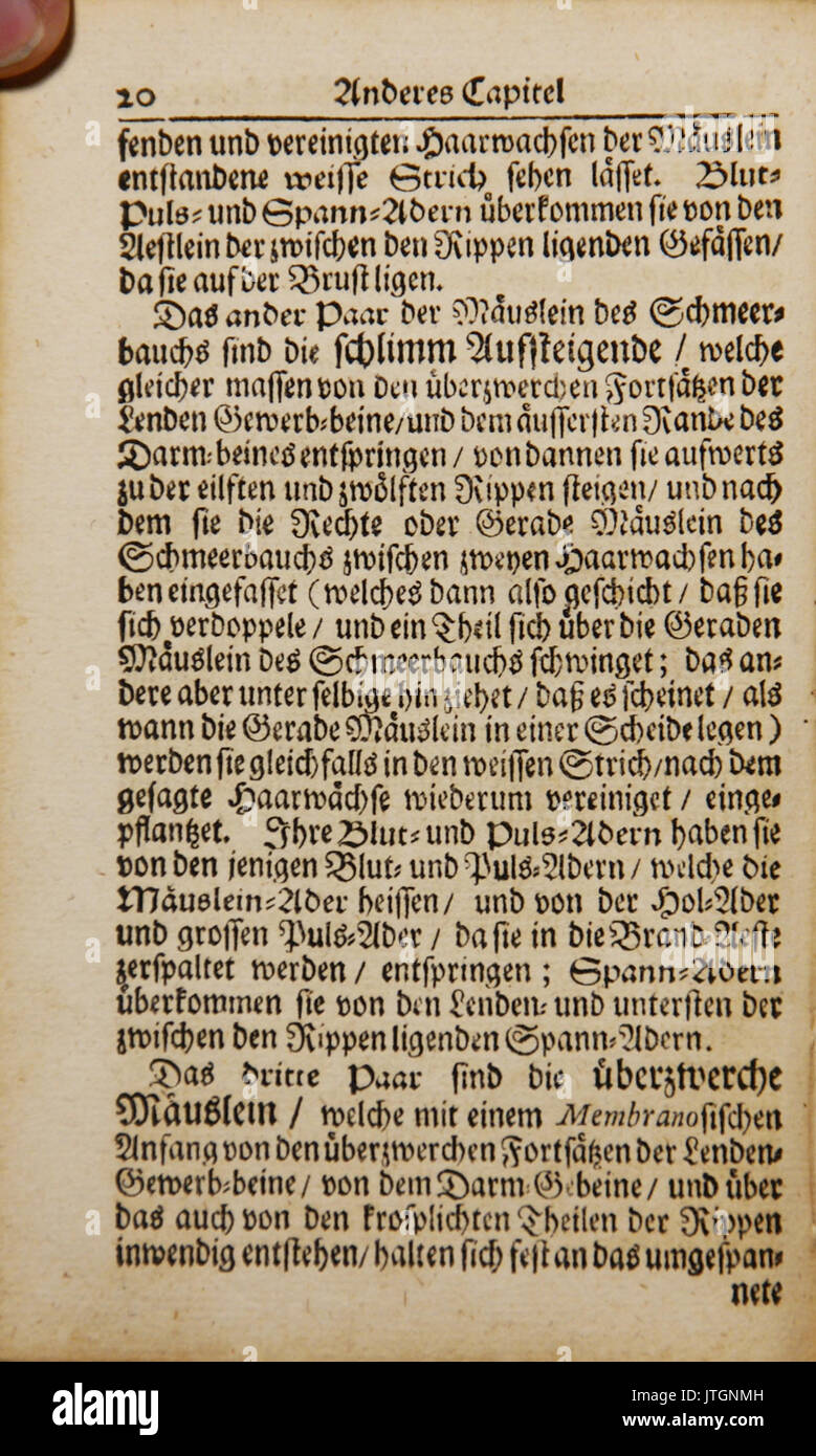 Wesling Kuenstliche Zerlegung 024 Stock Photo - Alamy