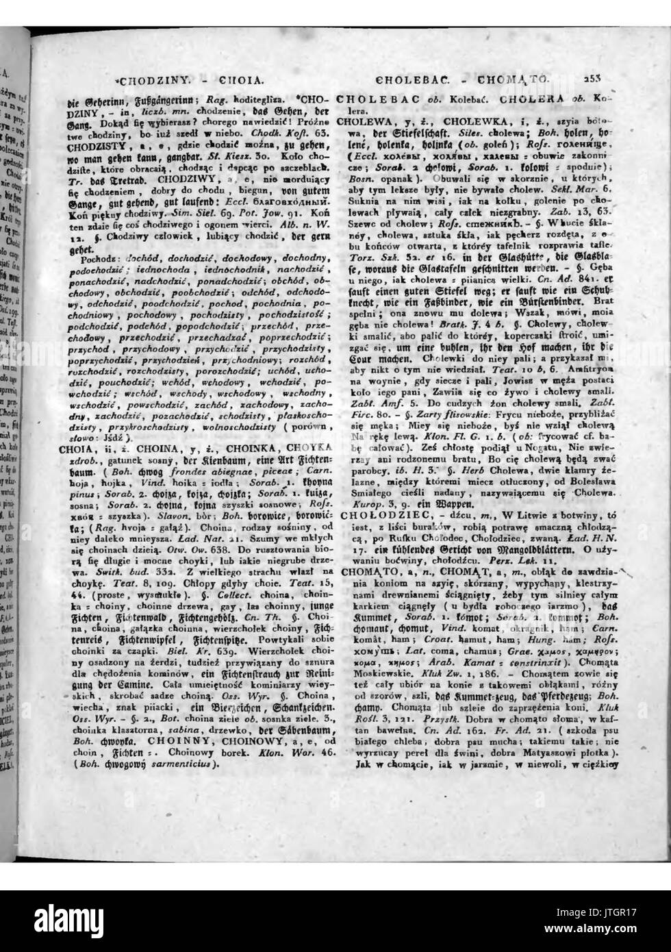 Slownik jezyka polskiego tom 1 253 Stock Photo - Alamy