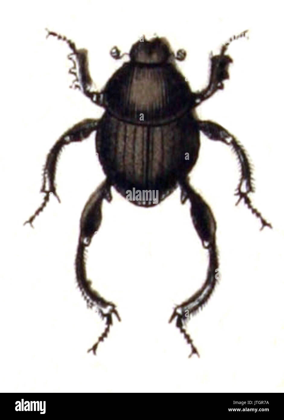 Sisyphus painting hi-res stock photography and images - Alamy