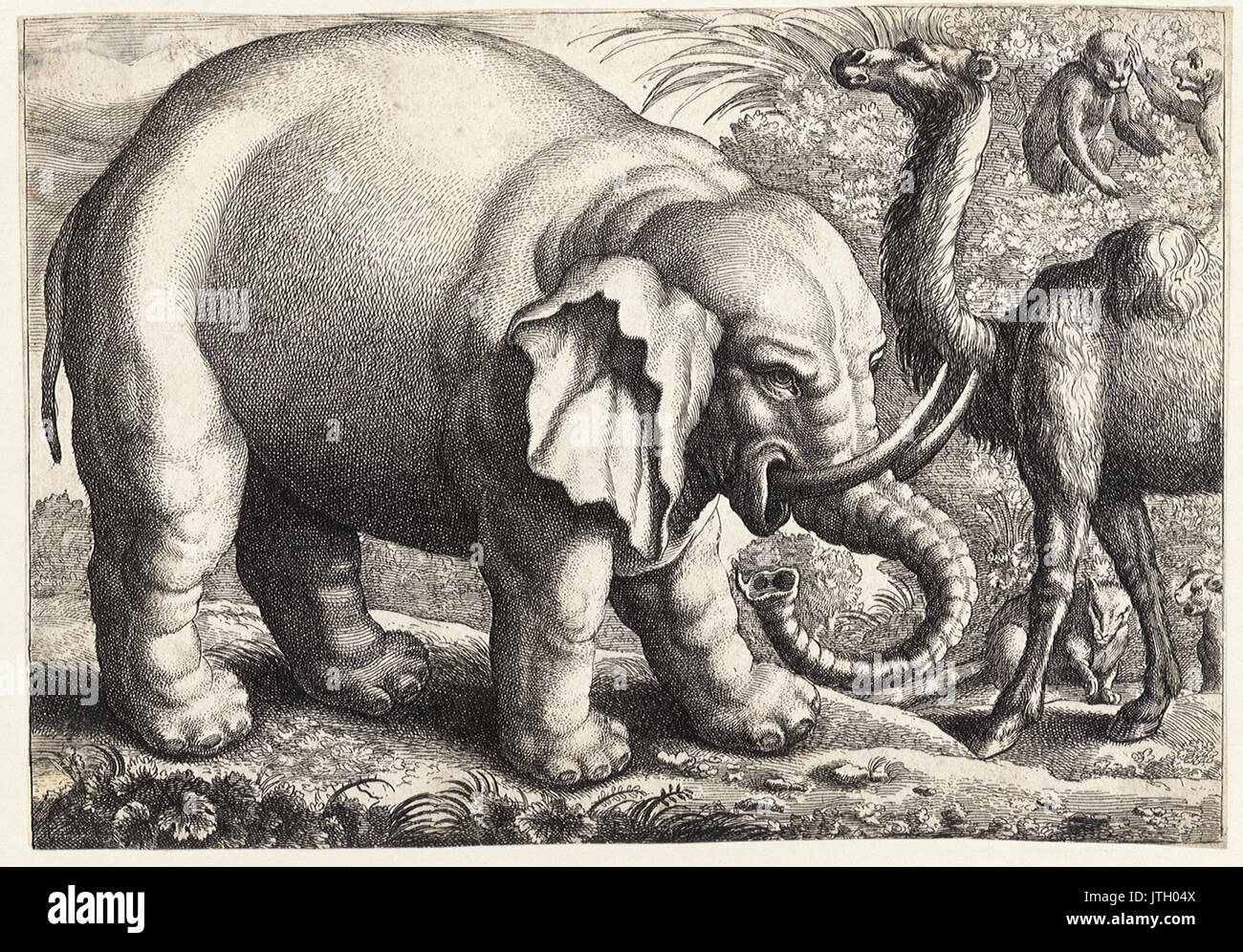 The elephant and camel hi-res stock photography and images - Alamy