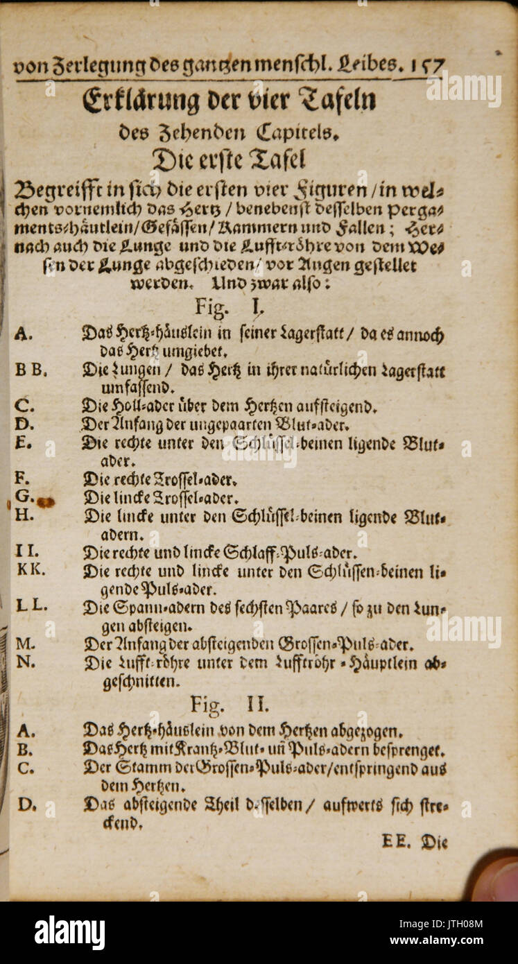 Wesling Kuenstliche Zerlegung 197 Stock Photo - Alamy