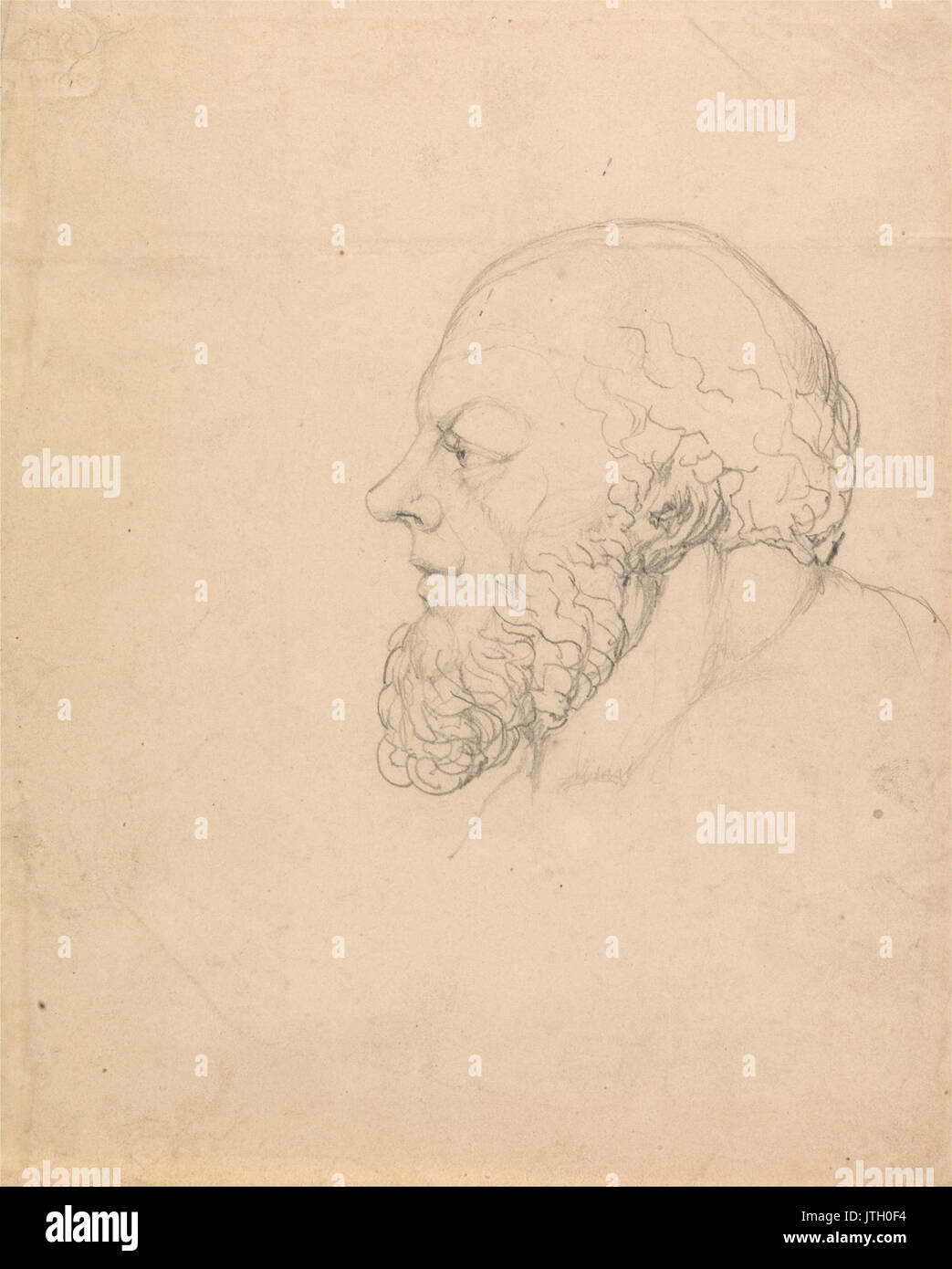 Socrates head hi-res stock photography and images - Alamy