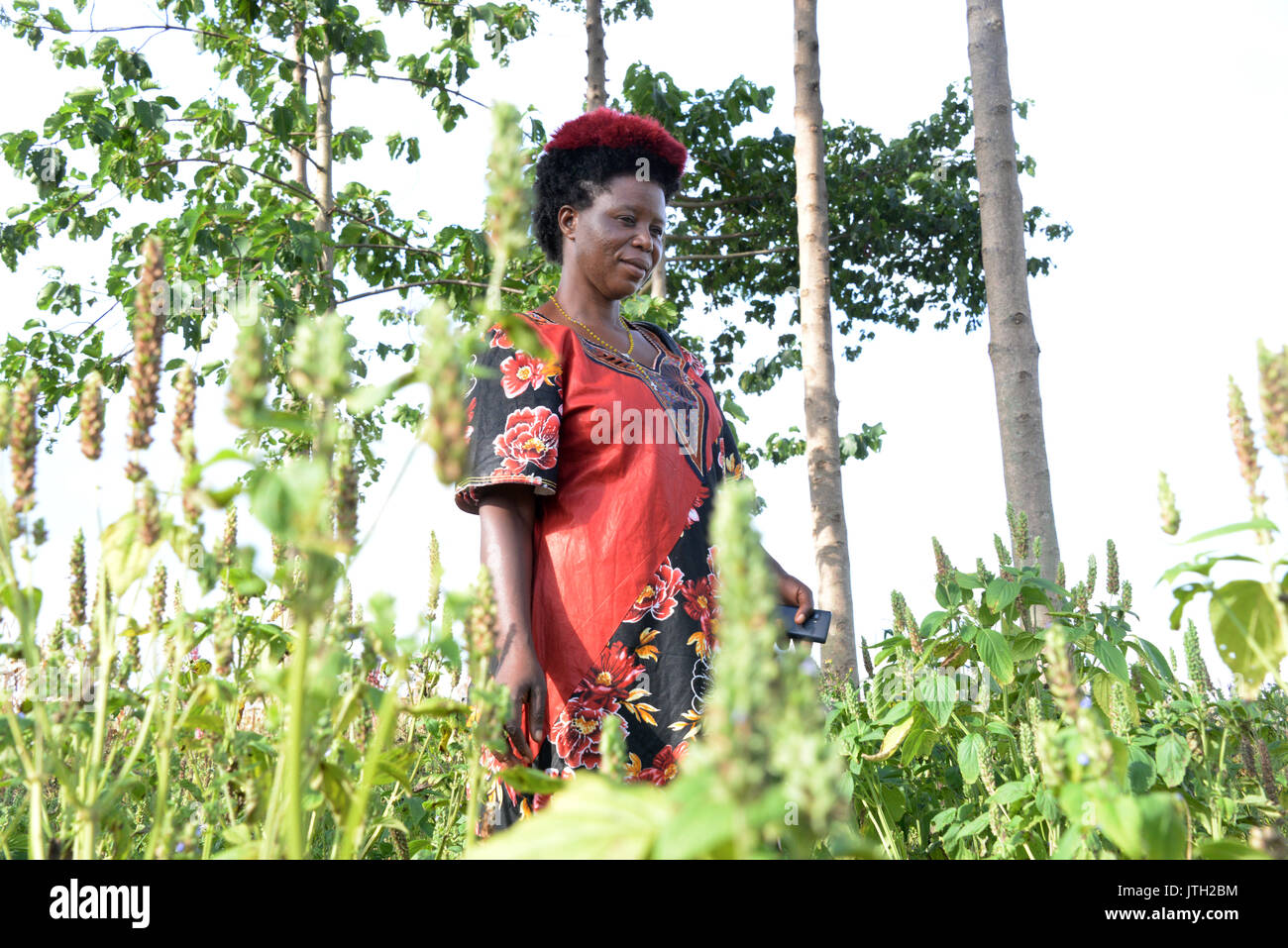 Chia farmer Elizabeth Natocha in a field on her farm in Namayingo ...