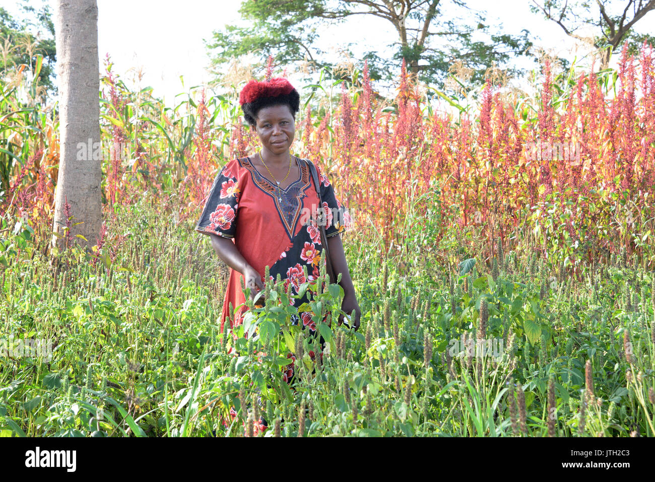 Chia farmer Elizabeth Natocha in a field on her farm in Namayingo ...