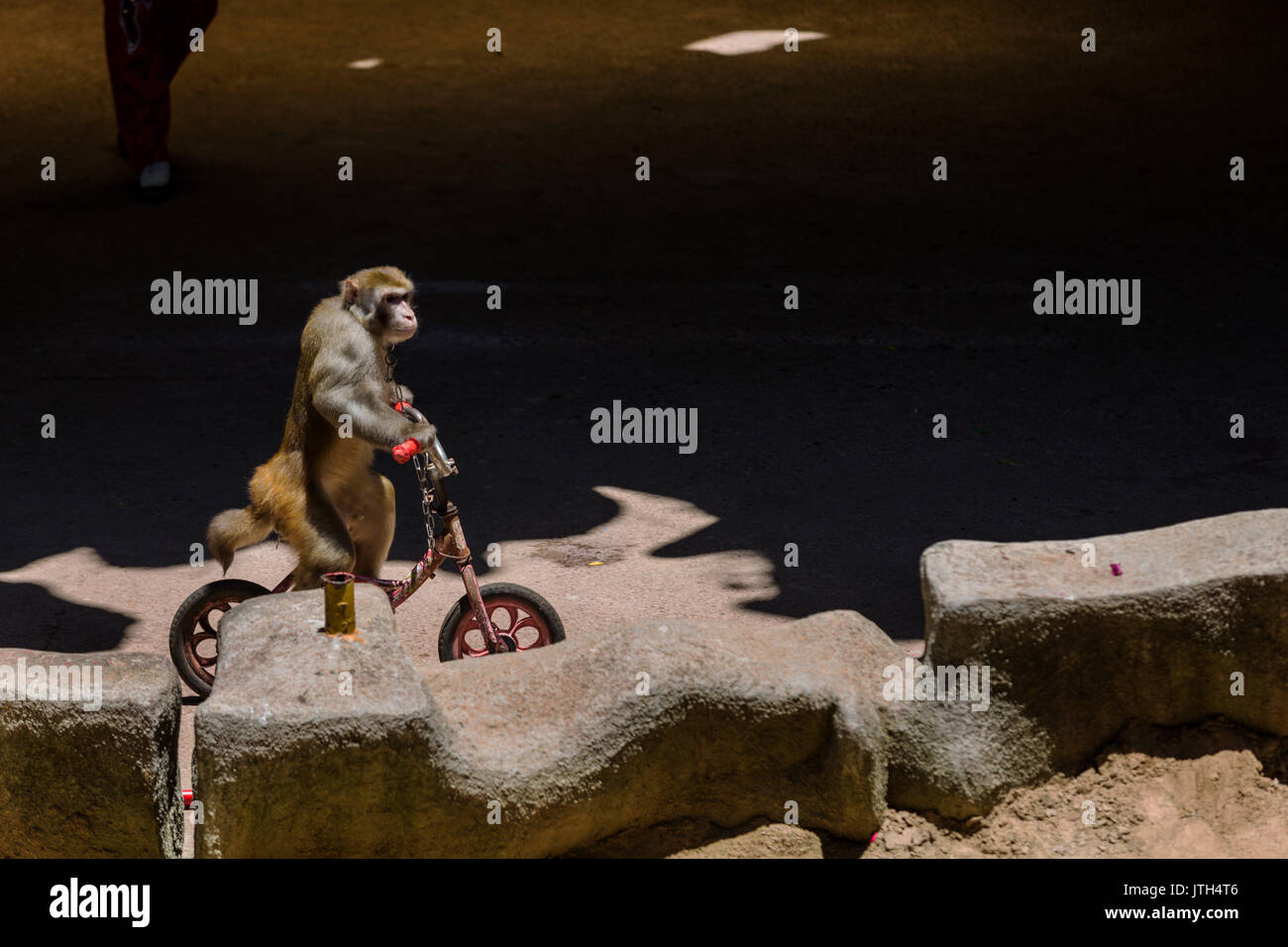 Hainan island cable car hi-res stock photography and images - Alamy