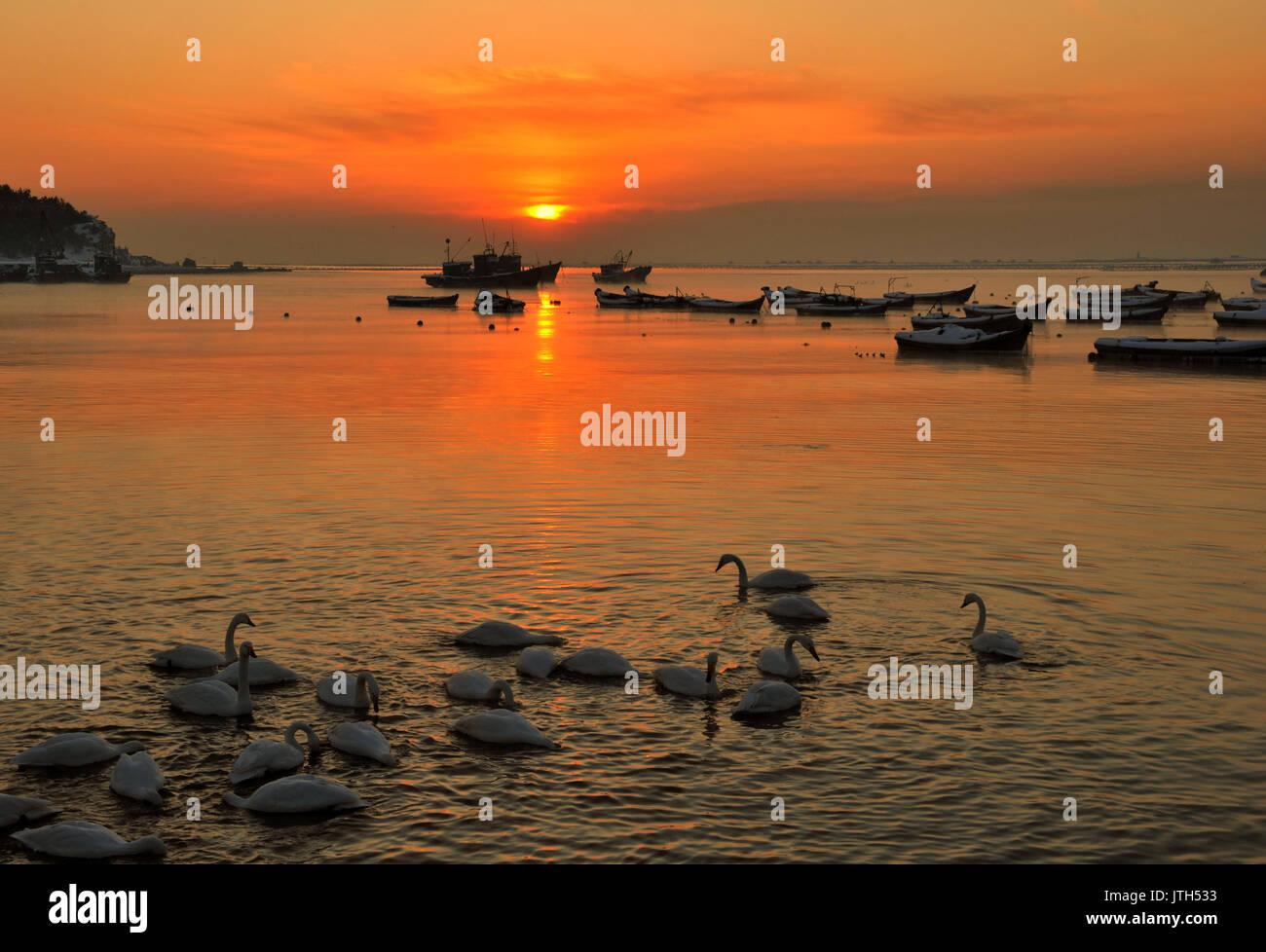 Rongchen, Rongchen, China. 9th Aug, 2017. Scenery of Swan Lake in ...