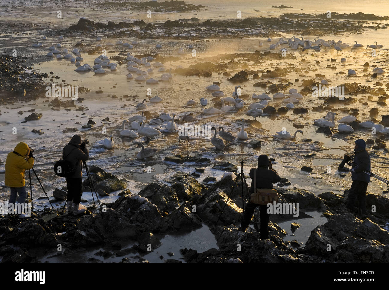 Rongchen, Rongchen, China. 9th Aug, 2017. Rongcheng, CHINA- (EDITORIAL USE ONLY. CHINA OUT ...