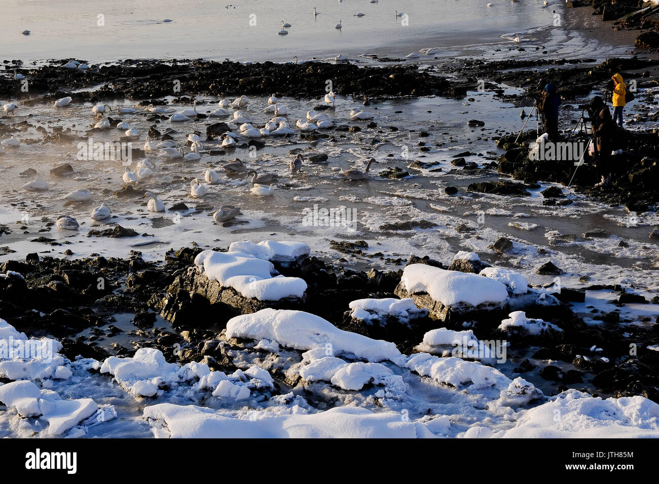 Rongchen, China. 9th Aug, 2017. Rongcheng, CHINA- (EDITORIAL USE ONLY. CHINA OUT).Scenery of ...