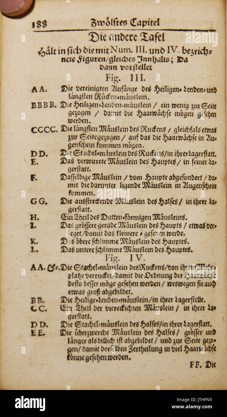 Wesling Kuenstliche Zerlegung 240 Stock Photo - Alamy