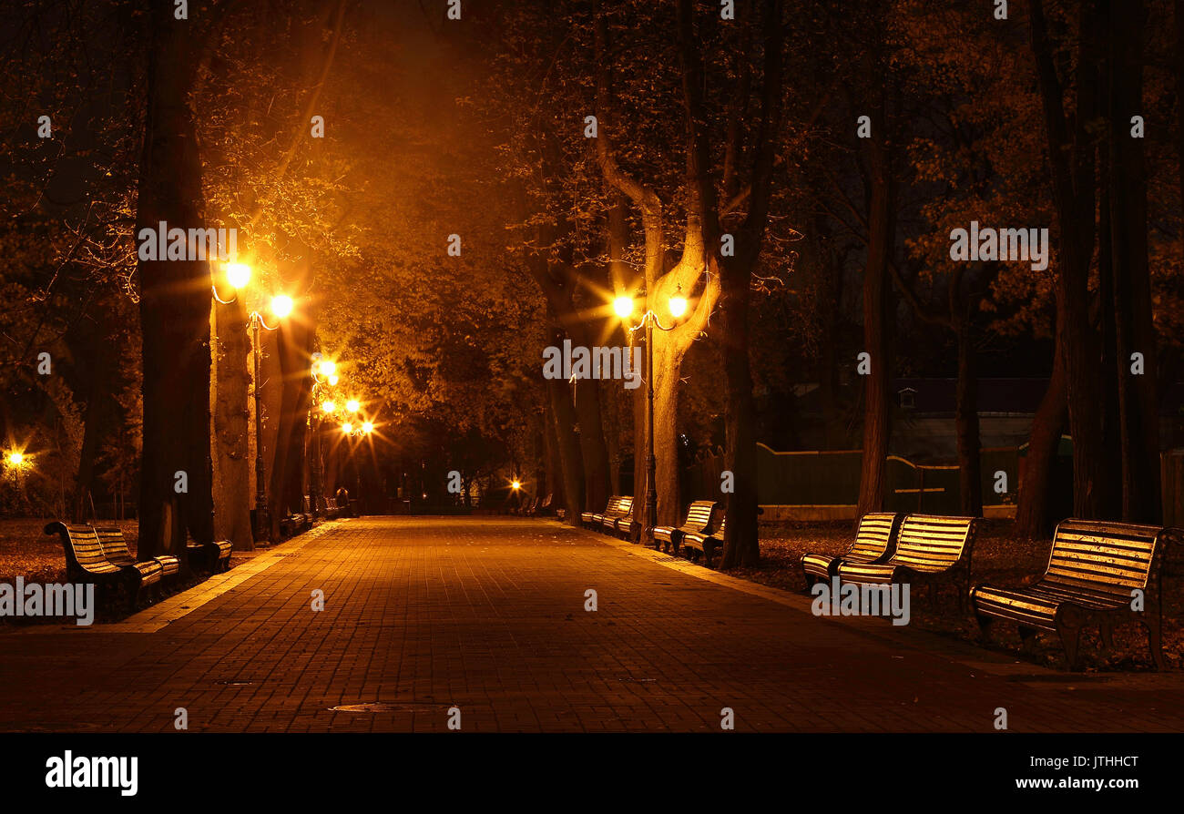 Night in Mariinsky Park in Kiev, Ukraine Stock Photo - Alamy