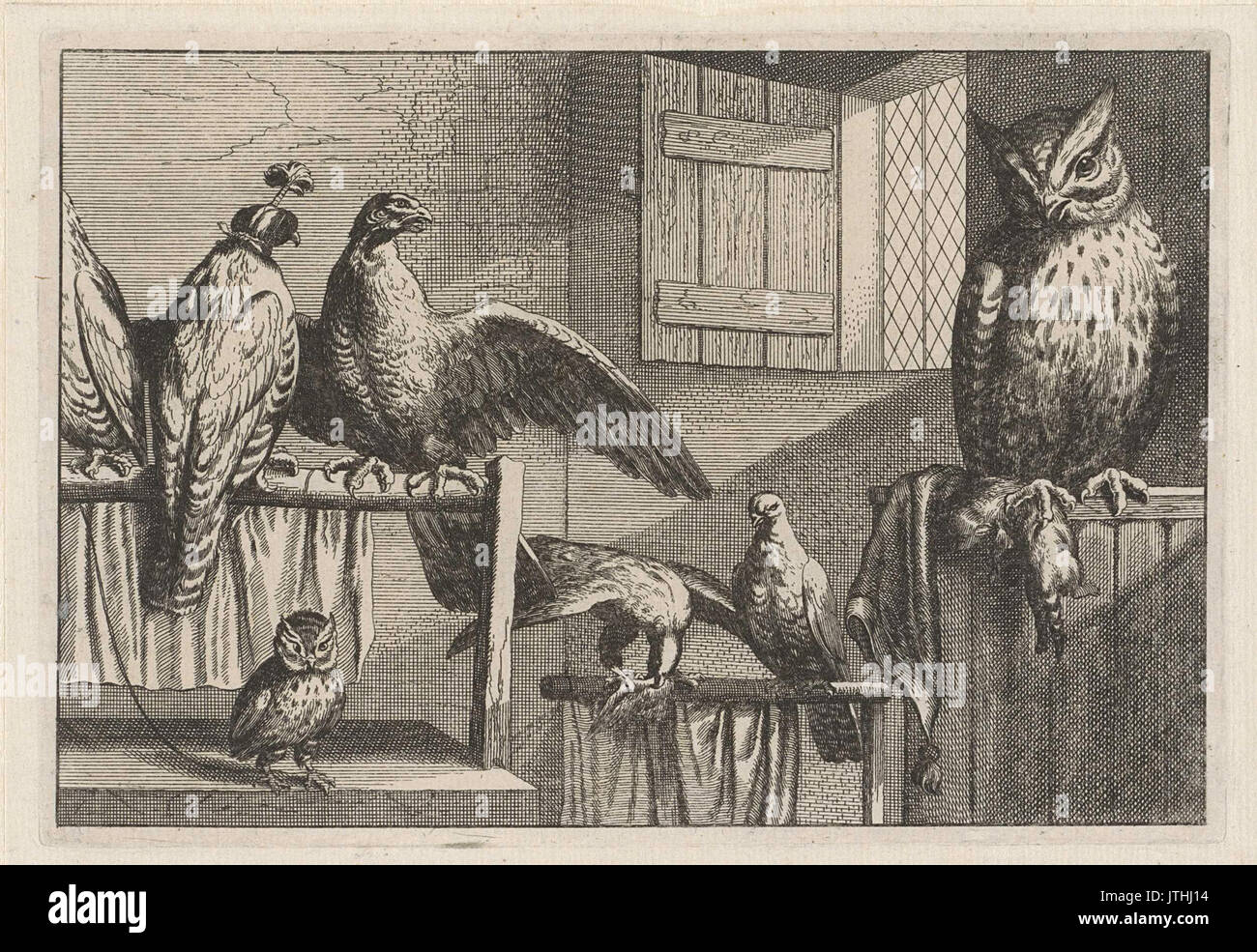 Valken hi-res stock photography and images - Alamy