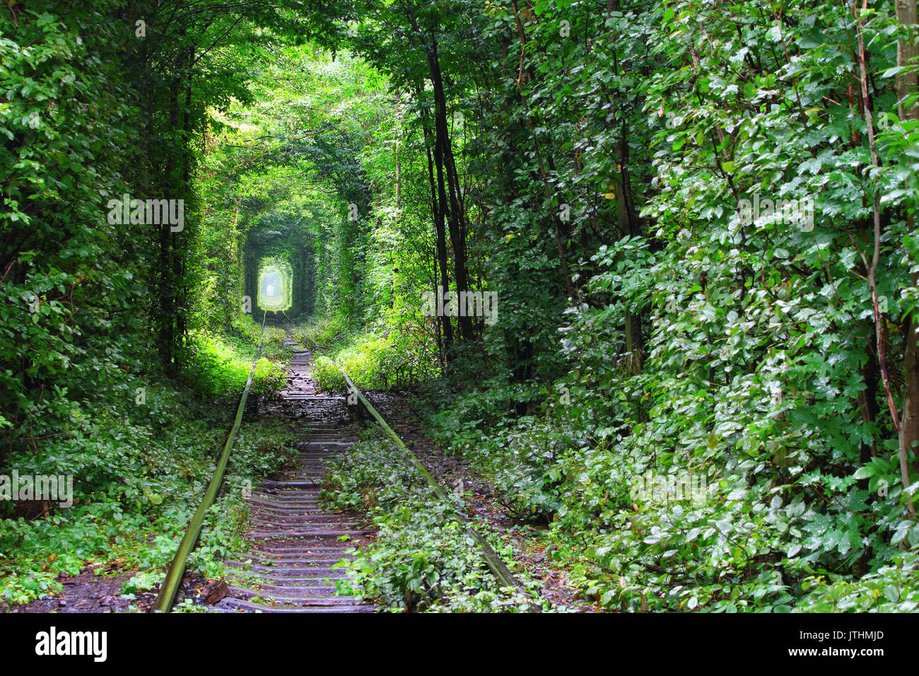 Tunnel of love ukraine hi-res stock photography and images - Alamy