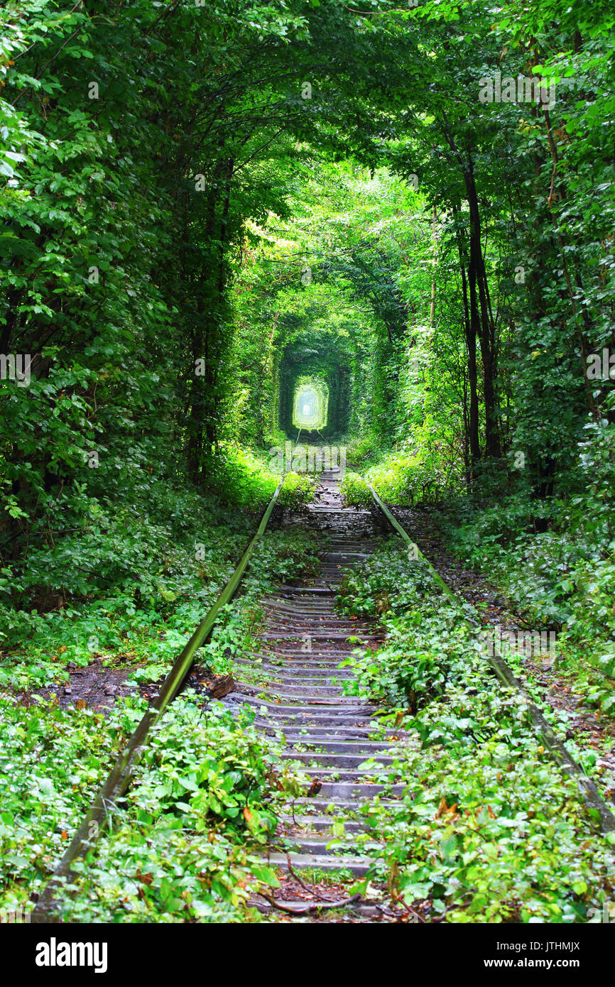 Tunnel of love ukraine hi-res stock photography and images - Alamy