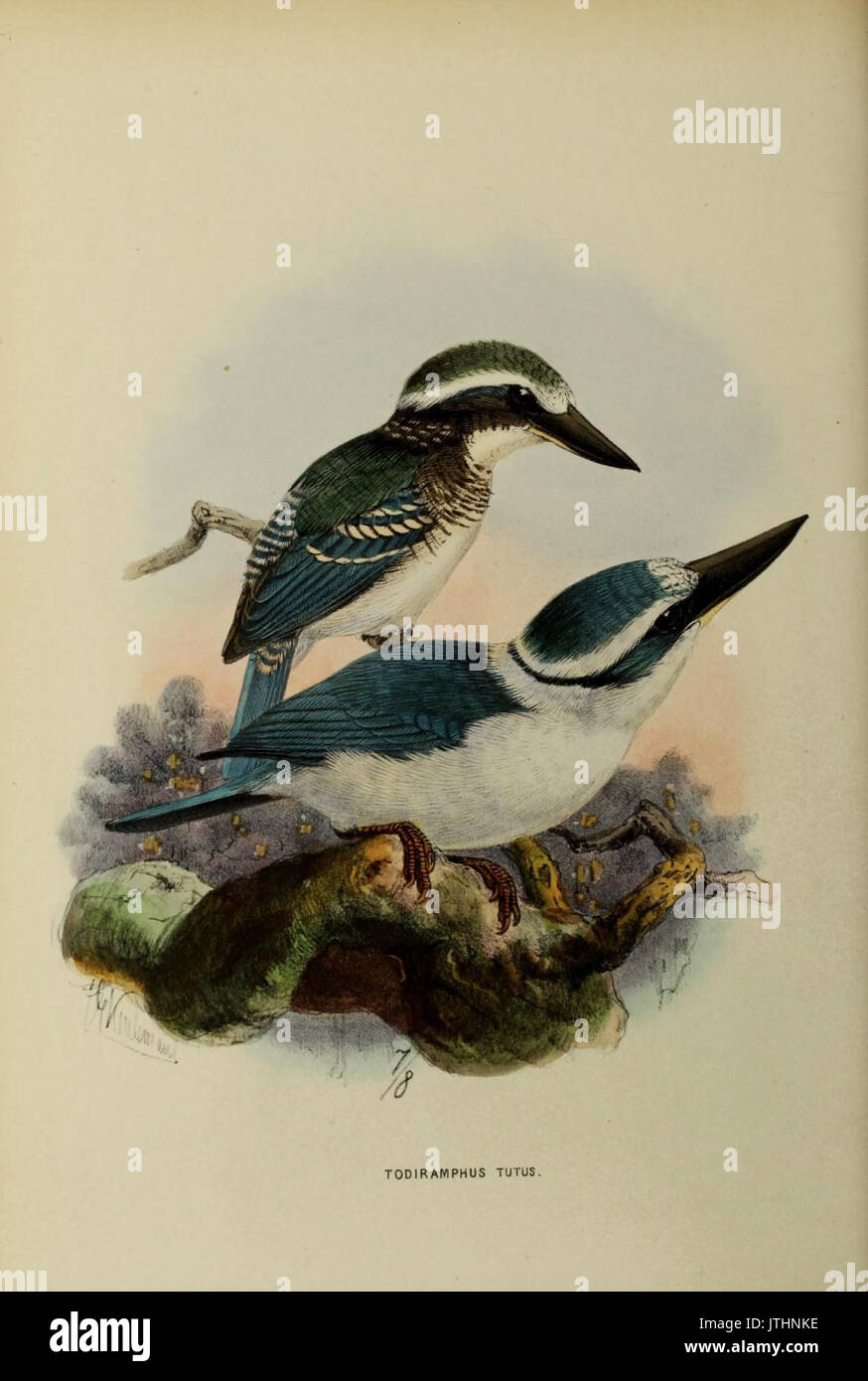 Map of gerrard hi-res stock photography and images - Alamy