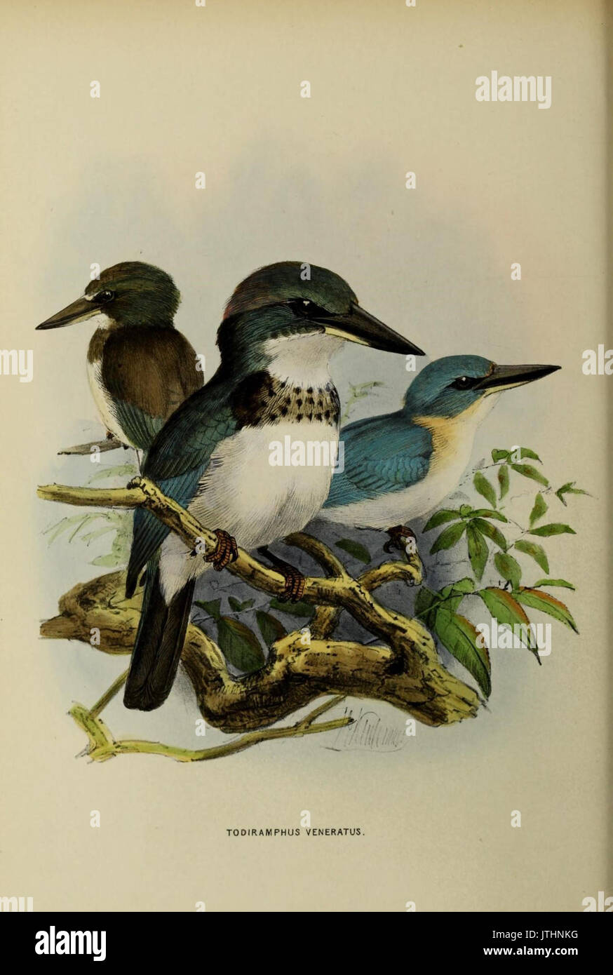 Gerrard map hi-res stock photography and images - Alamy