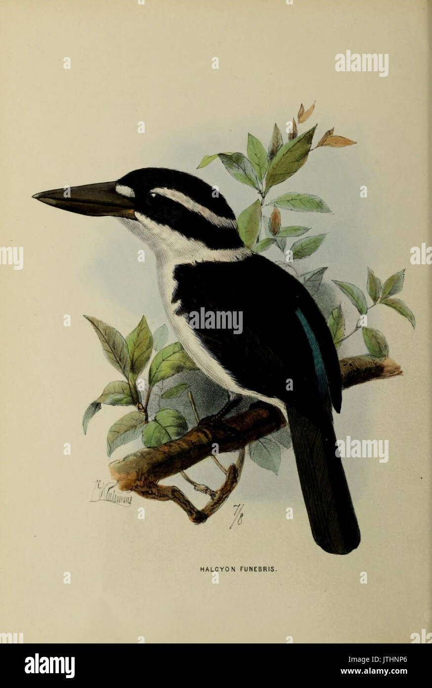 Map of gerrard hi-res stock photography and images - Alamy